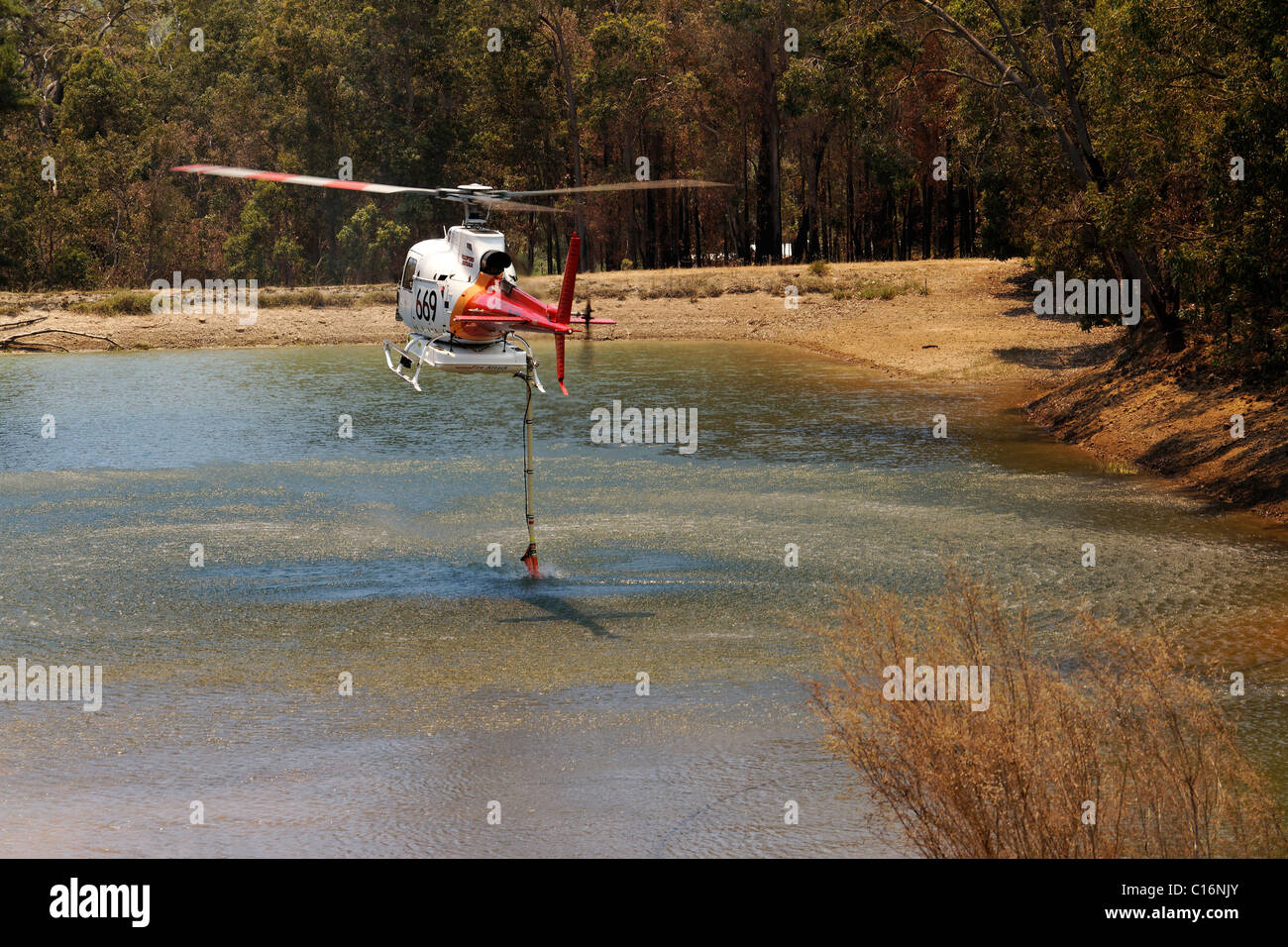 Fire Fighting Helicopter drawing water from dam, Southwest Australia ...