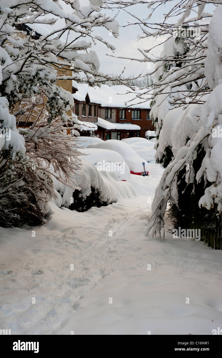Out winter hi-res stock photography and images - Alamy