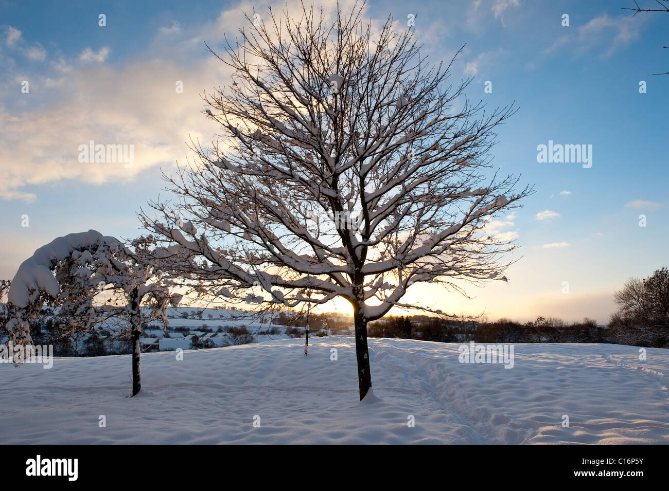 Harsh winter sun hi-res stock photography and images - Alamy