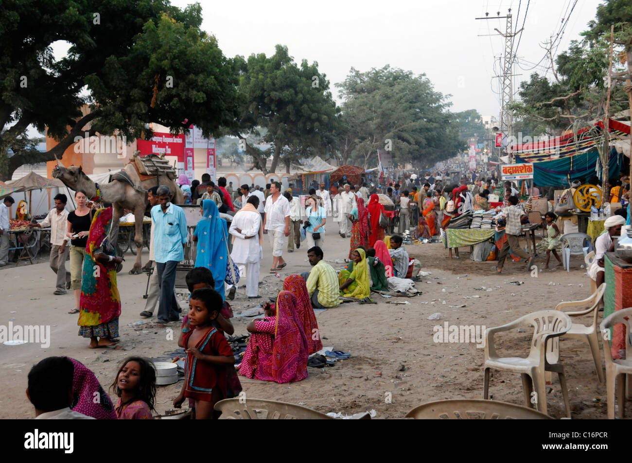 Pushkar Mela, Pushkar, camel and cattle market, Rajasthan, North India ...