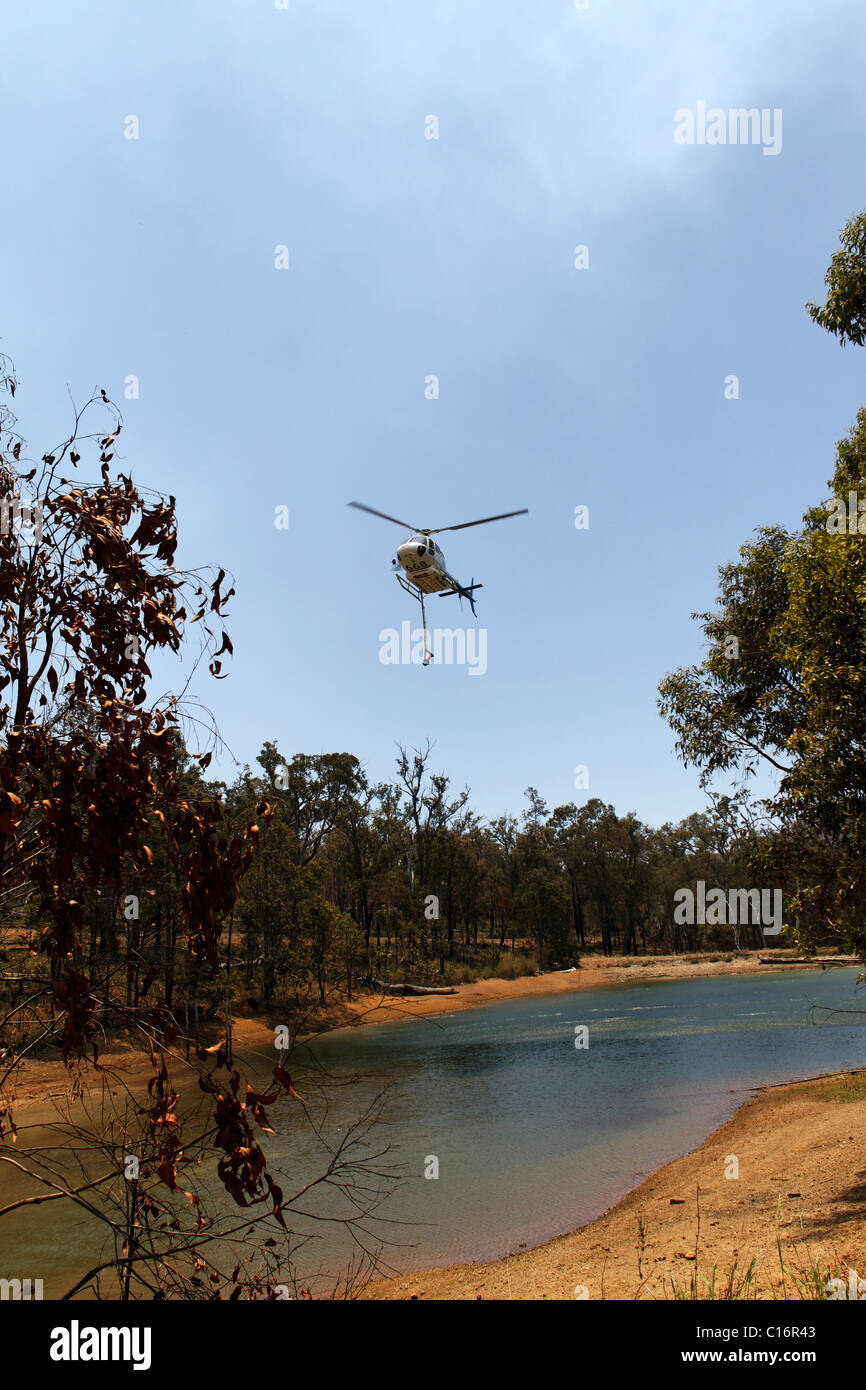 Fire Fighting Helicopter, Southwest Australia Stock Photo - Alamy