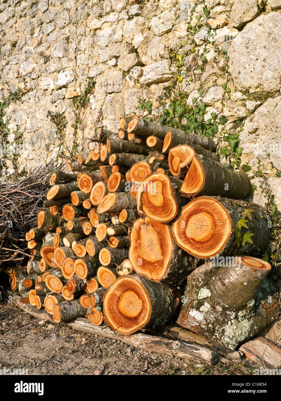 Cut logs and vine twigs for kindling and firewood - France Stock Photo ...