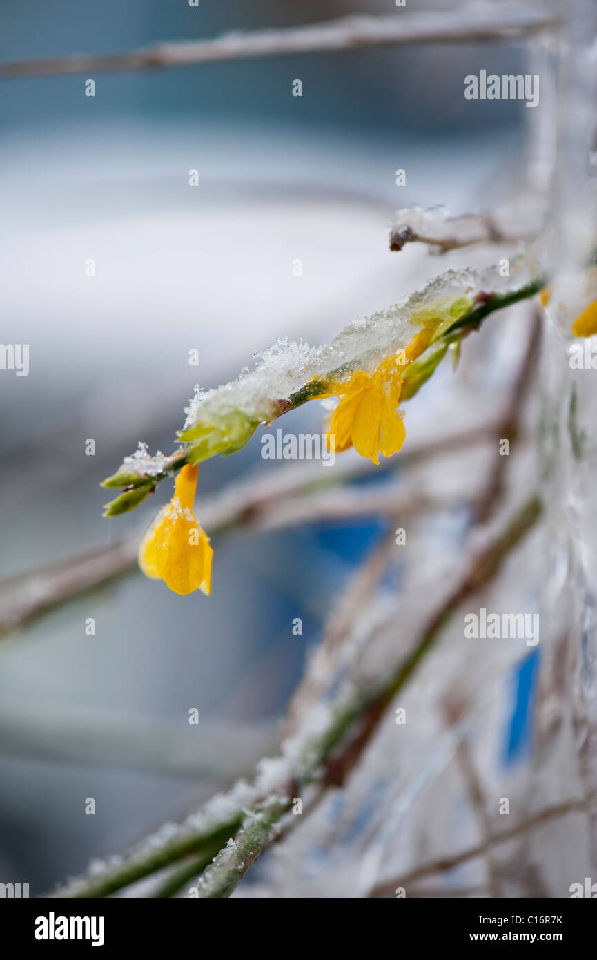 Difficult gardening hi-res stock photography and images - Alamy