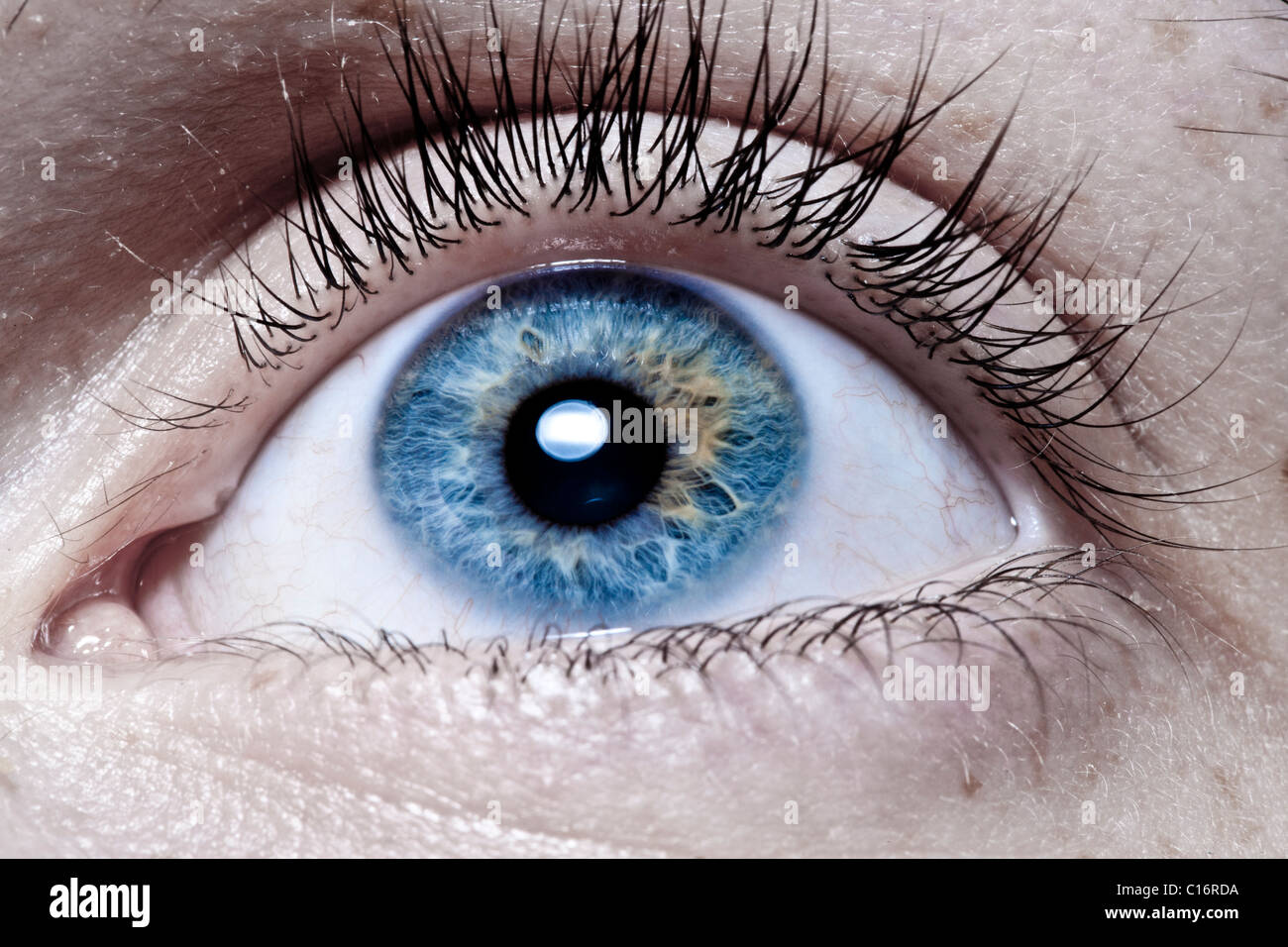 close up image of a human eye Stock Photo - Alamy