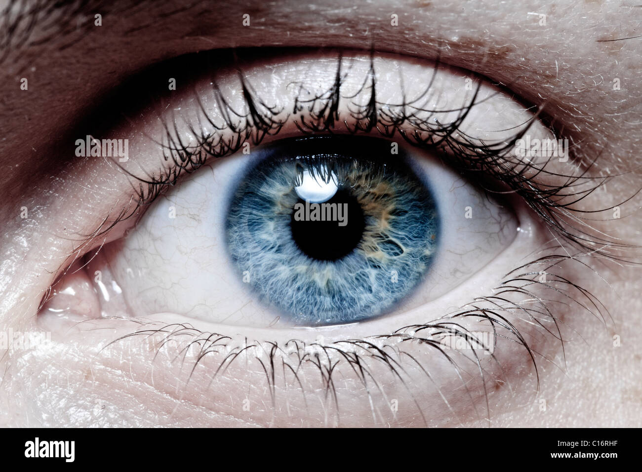 close up image of a human eye Stock Photo - Alamy