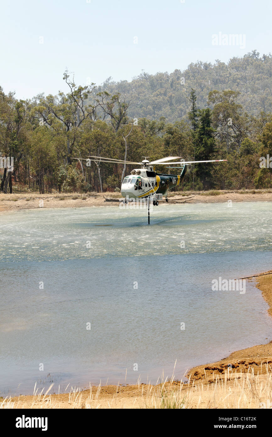 Fire Fighting Helicopter drawing water from dam, Southwest Australia ...