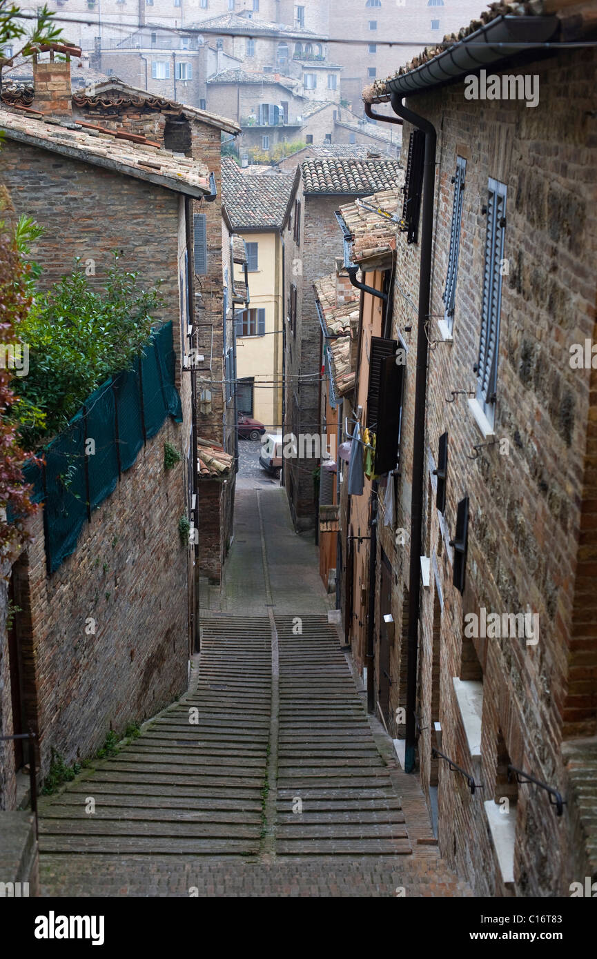 Narrow alley with stairs in Urbino, Marche, Italy, Europe Stock Photo ...