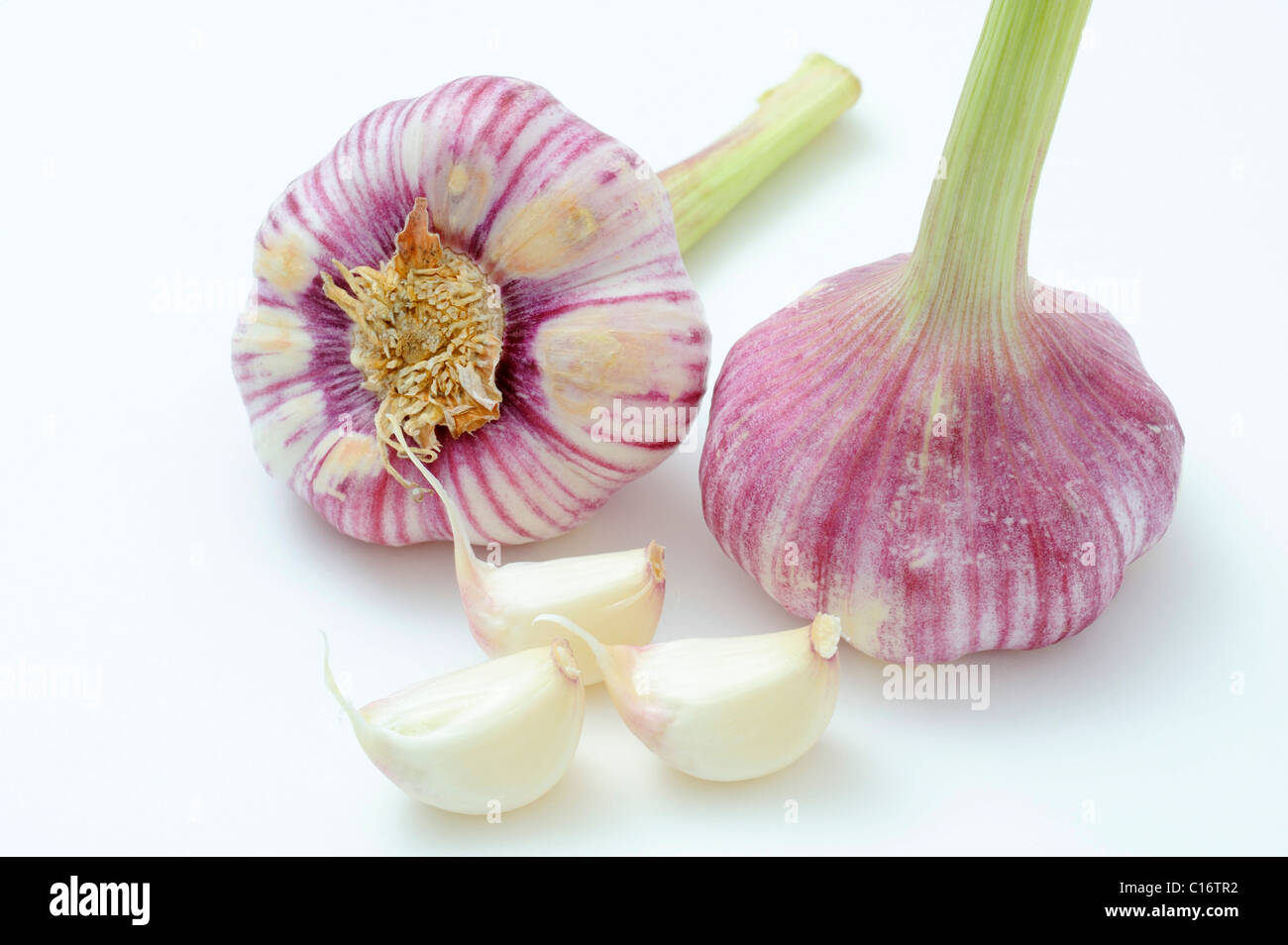Allium sativum garlic clove hi-res stock photography and images - Alamy