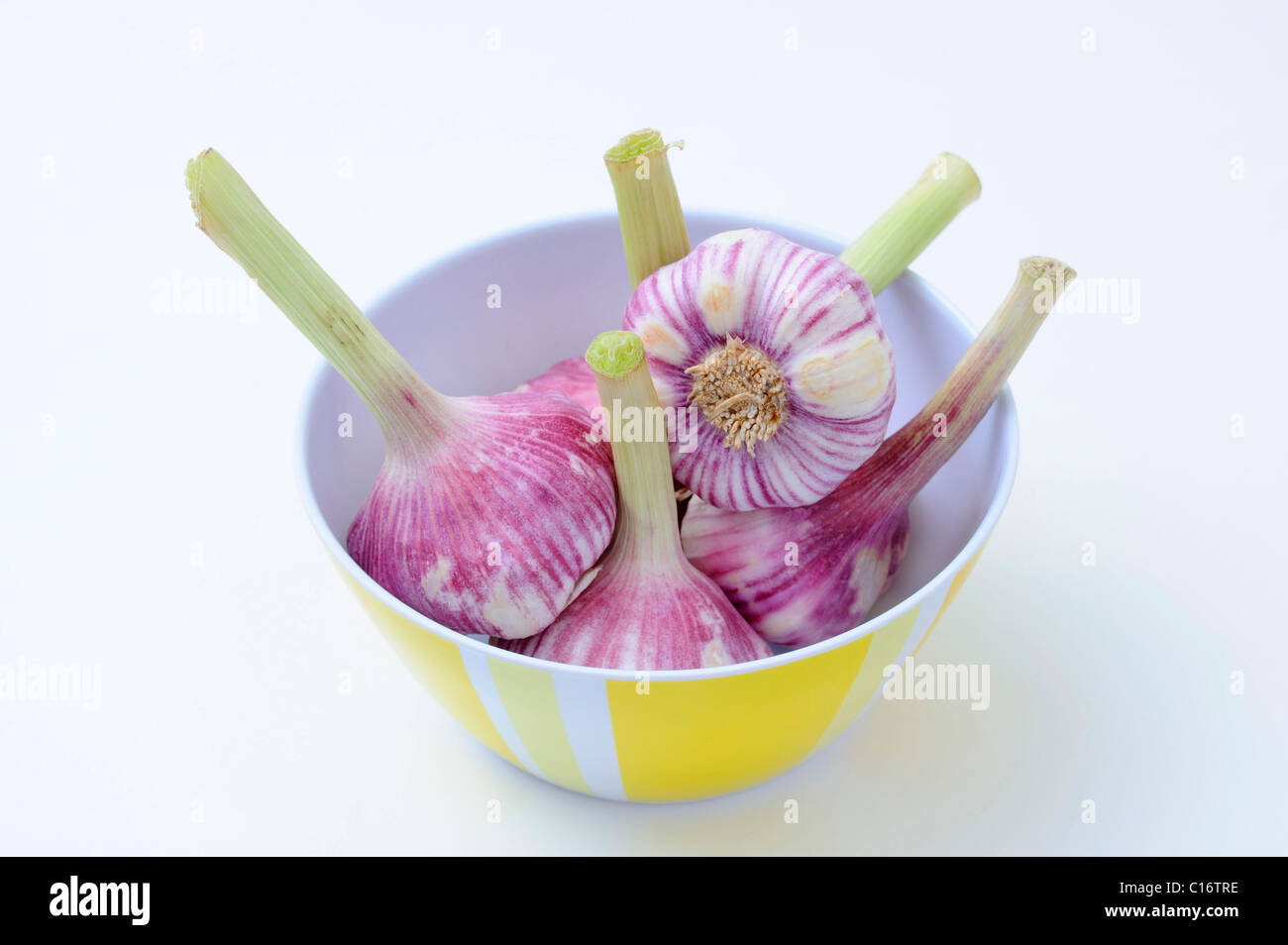 Garlic bulbs (Allium sativum Stock Photo - Alamy