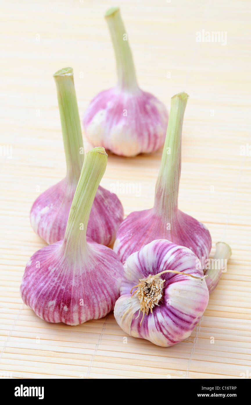 Allium sativum hi-res stock photography and images - Alamy