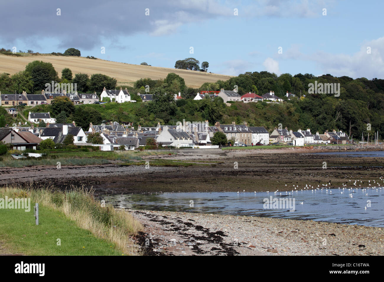 Flocks of birds feeding at Avoch on the Black Isle, Scotland, September ...