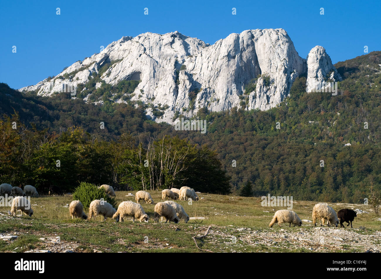 Velebit nature park hi-res stock photography and images - Alamy