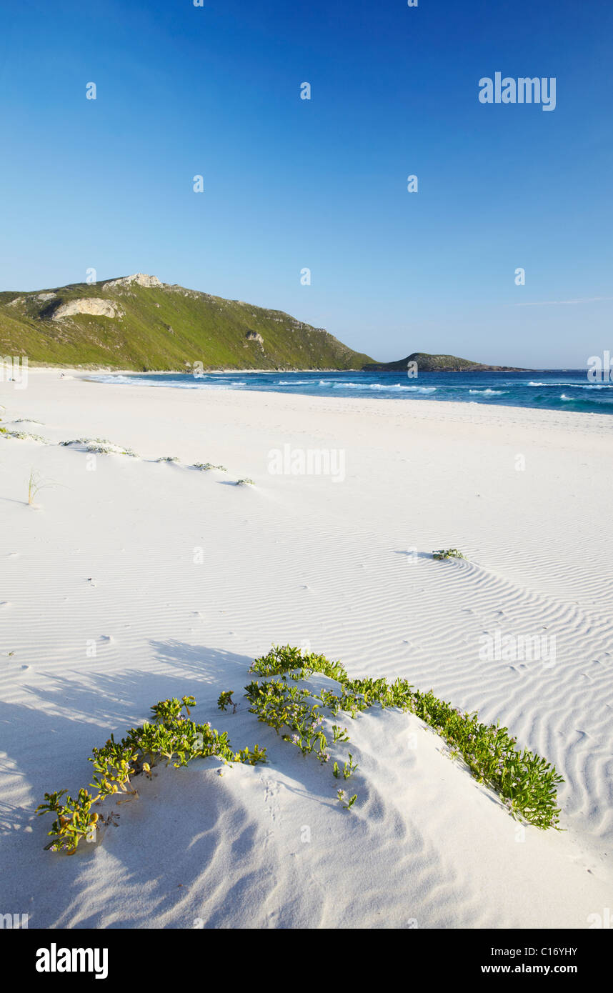 Conspicuous Cliffs beach, Walpole, Western Australia, Australia Stock ...