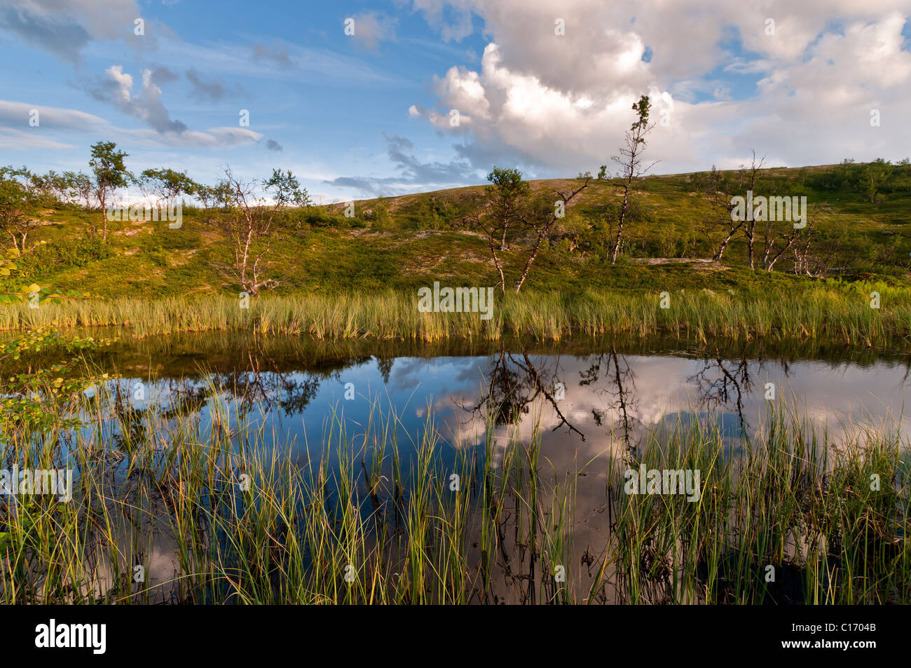 Wilderness in Swedish arctic Stock Photo - Alamy