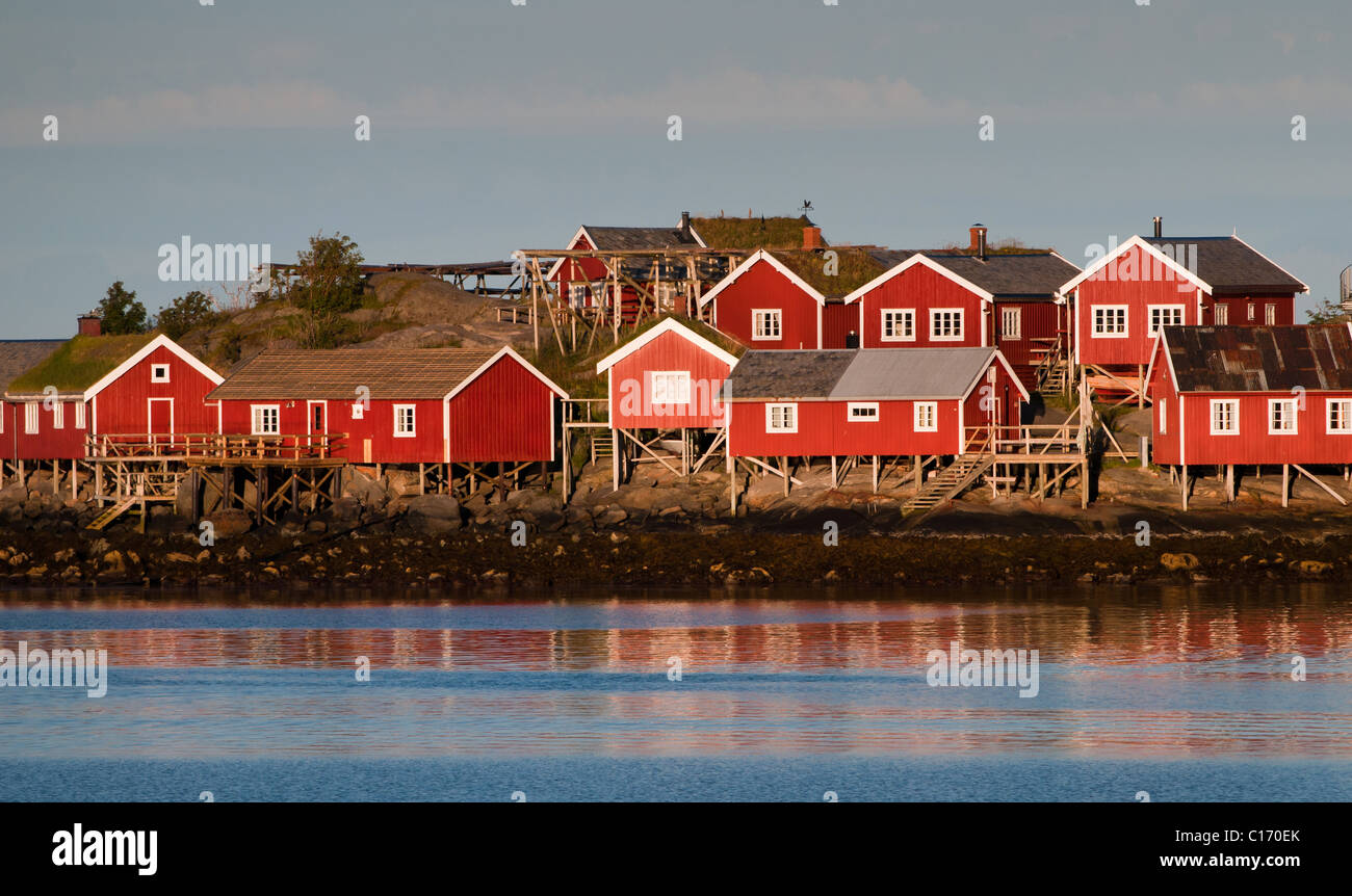 Colorful red houses in the town of Reine, Lofoten islands, Norway Stock ...