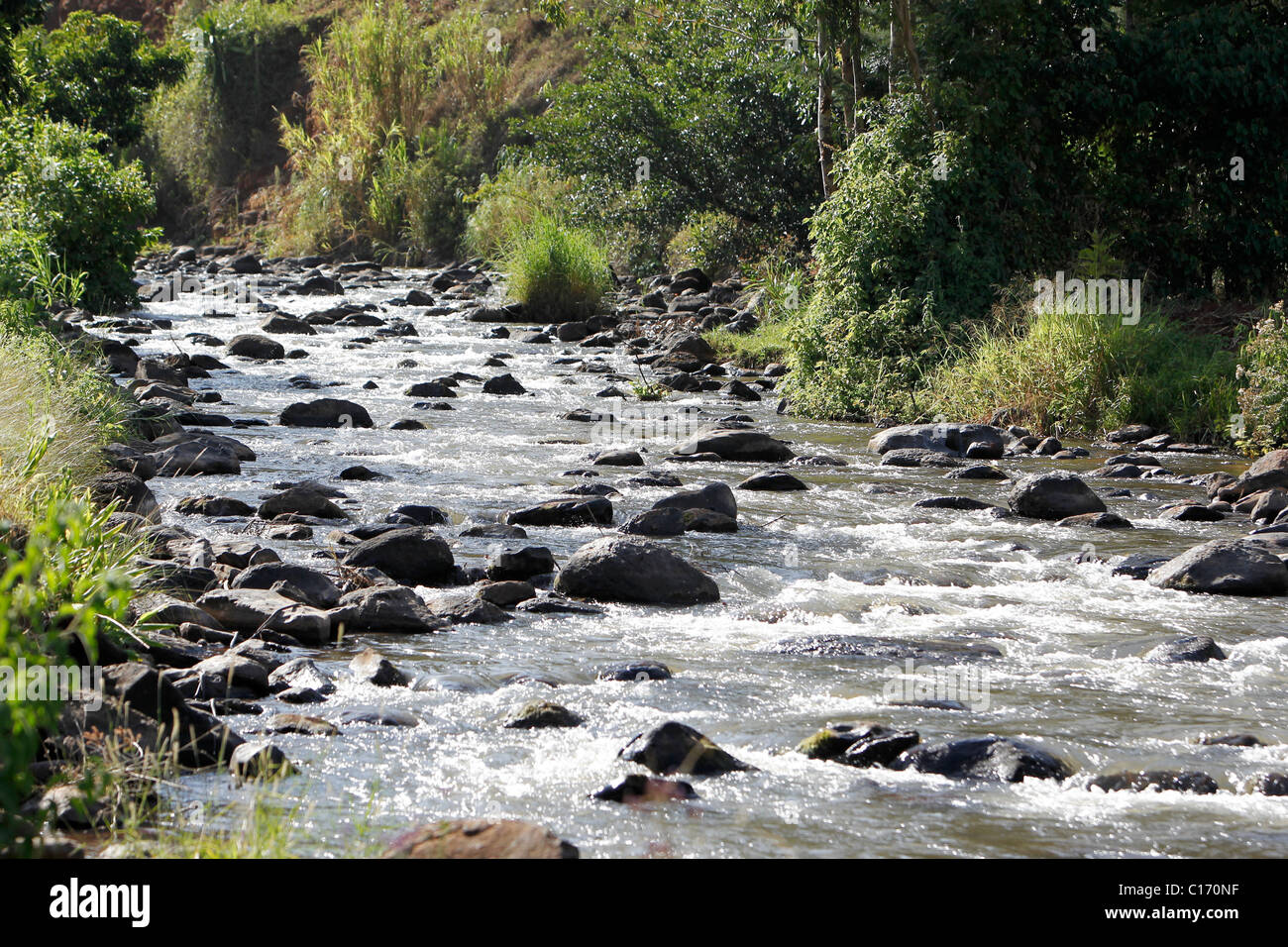 The Chania River runs through farmland near the town of Nyeri, Kenya ...