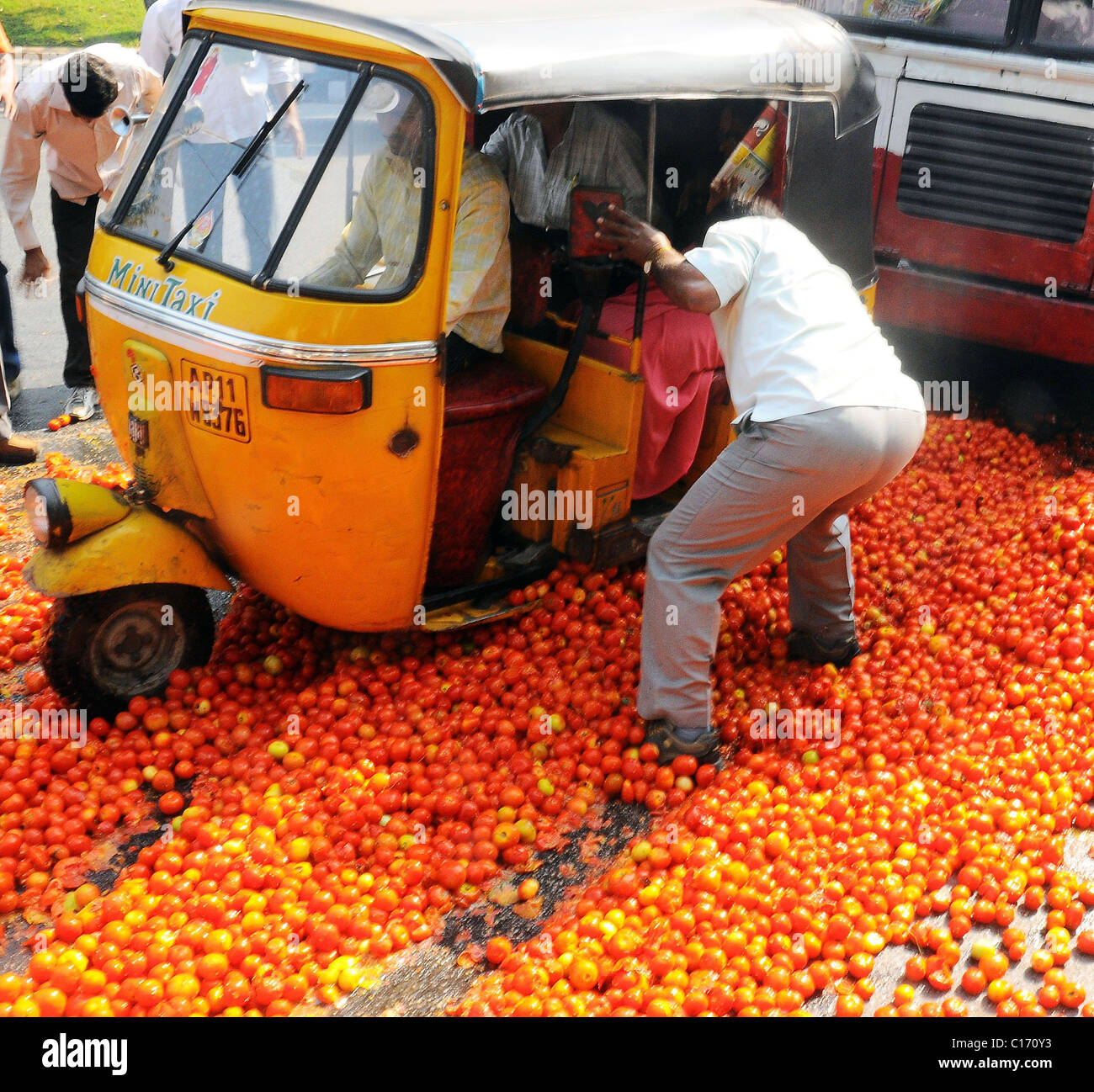 Farmers protest by dumping tomatoes Indian tomato farmers dump tons of ...