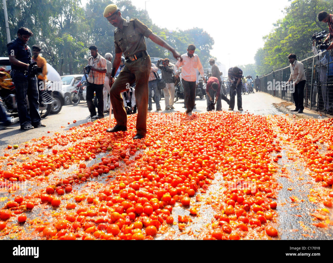 Farmers protest by dumping tomatoes Indian tomato farmers dump tons of ...