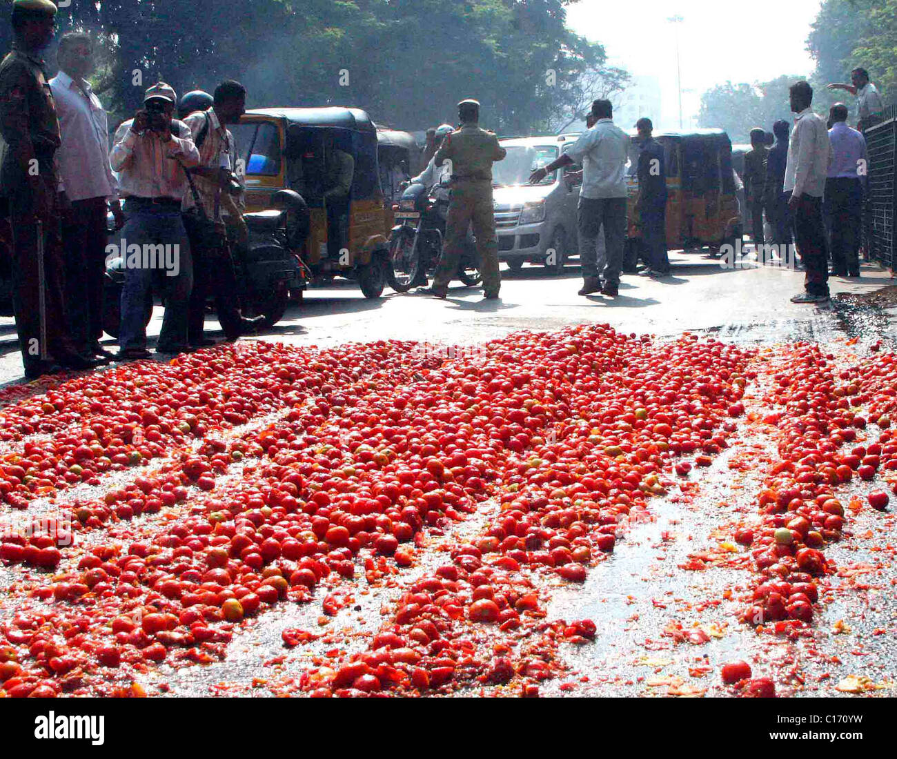 Farmers protest by dumping tomatoes Indian tomato farmers dump tons of ...