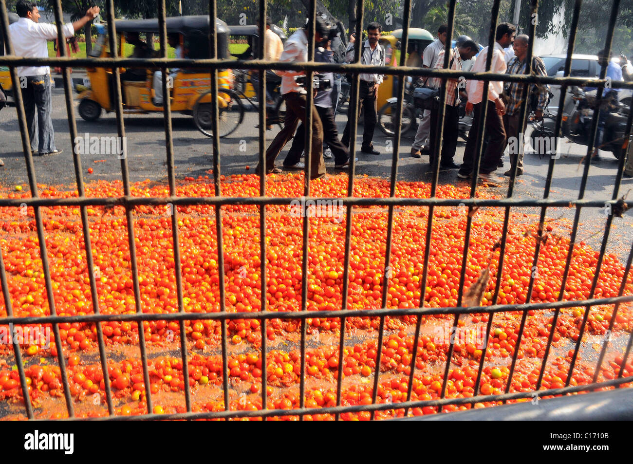 Farmers protest by dumping tomatoes Indian tomato farmers dump tons of ...