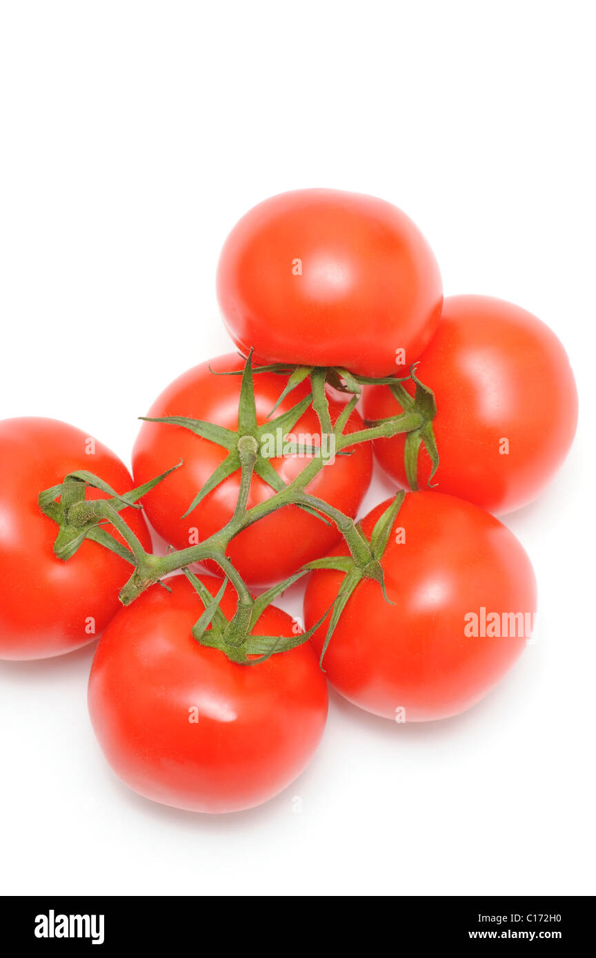 Vine tomatoes hi-res stock photography and images - Alamy