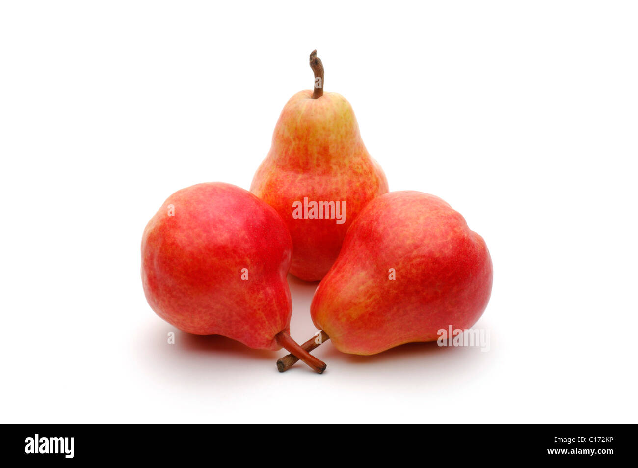 Williams pears pyrus communis hi-res stock photography and images - Alamy
