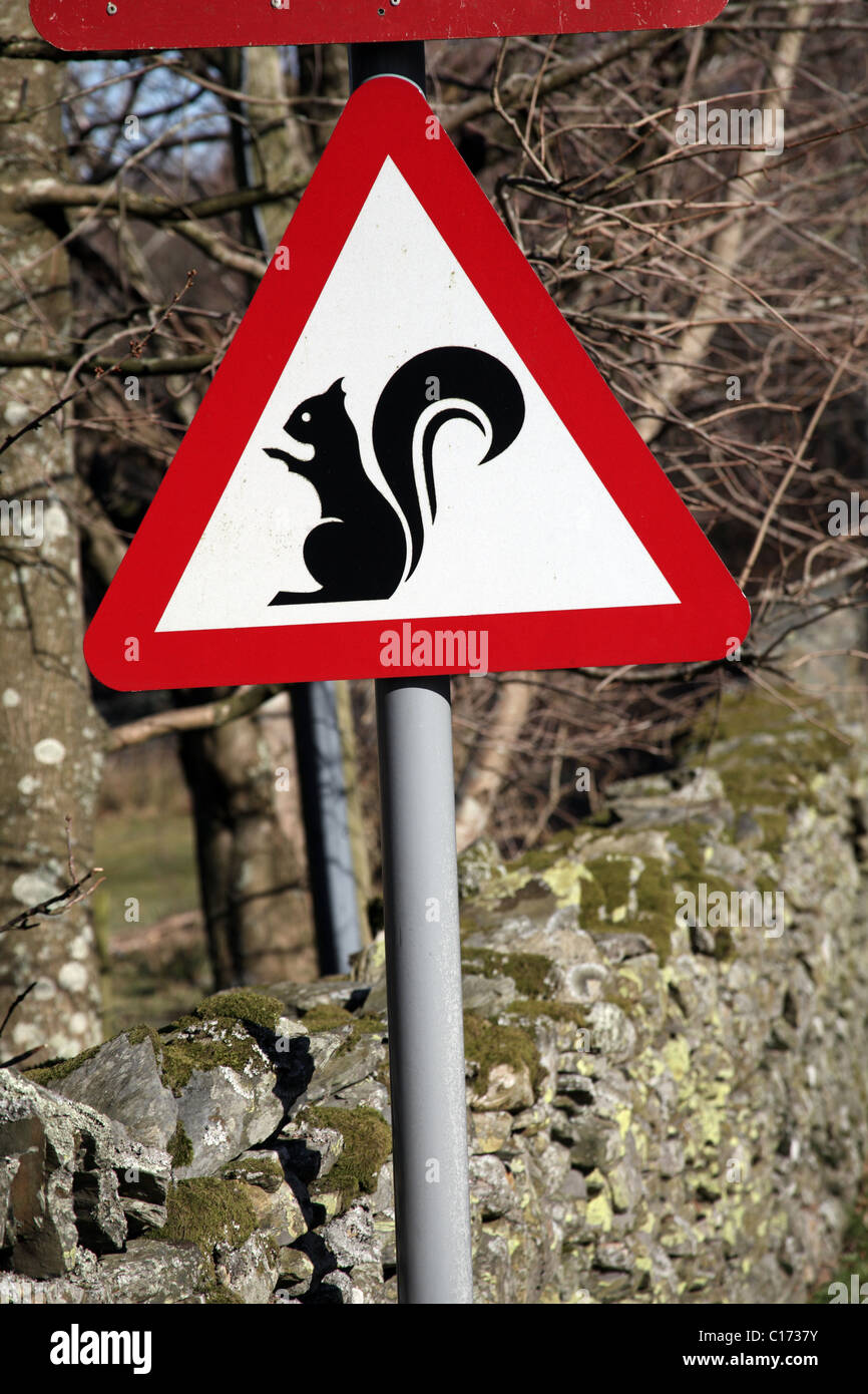Road Sign Warning Red Squirrels High Resolution Stock Photography and ...