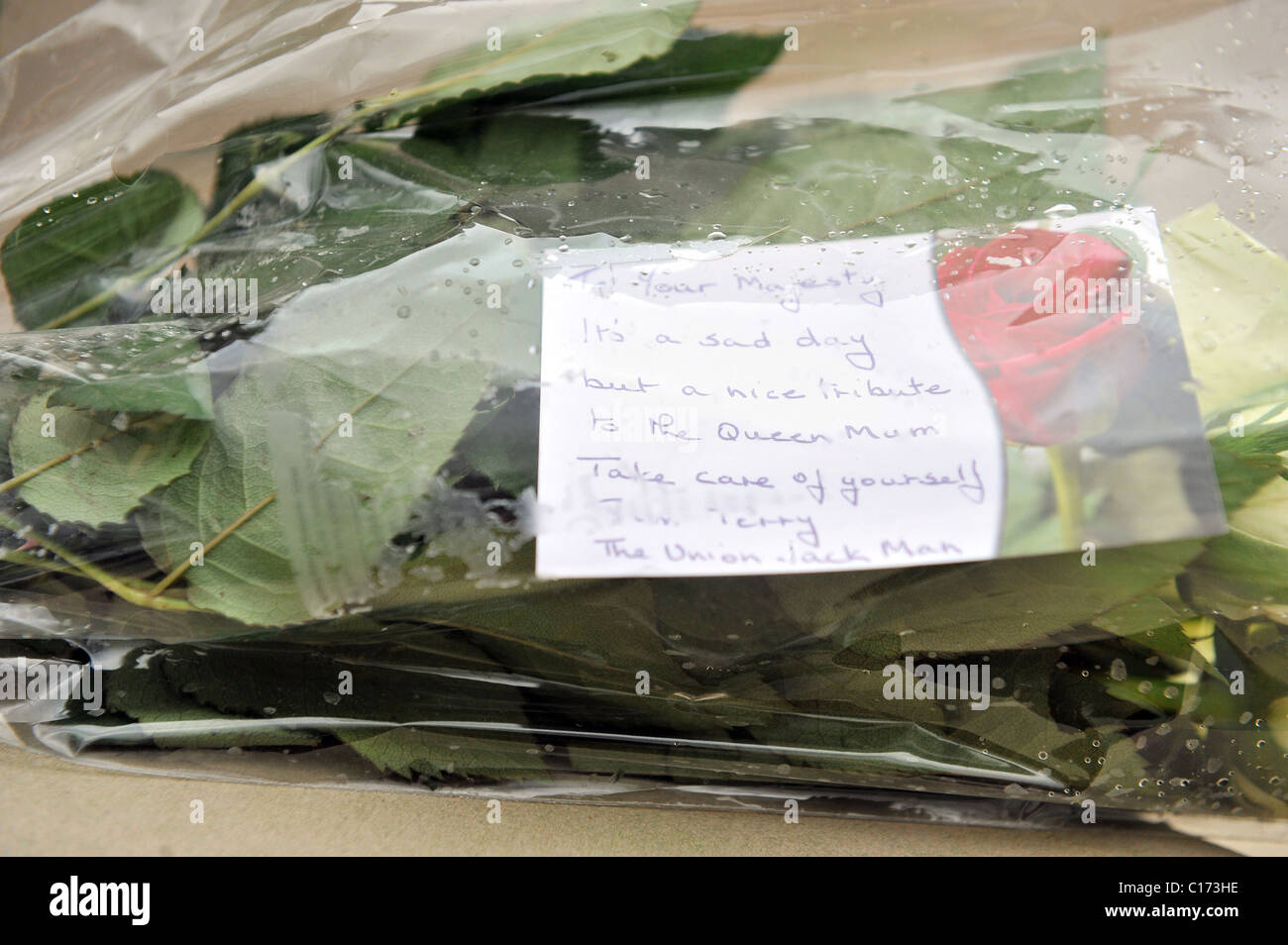 The Queen Elizabeth: The Queen Mother Memorial - unveiling ceremony ...