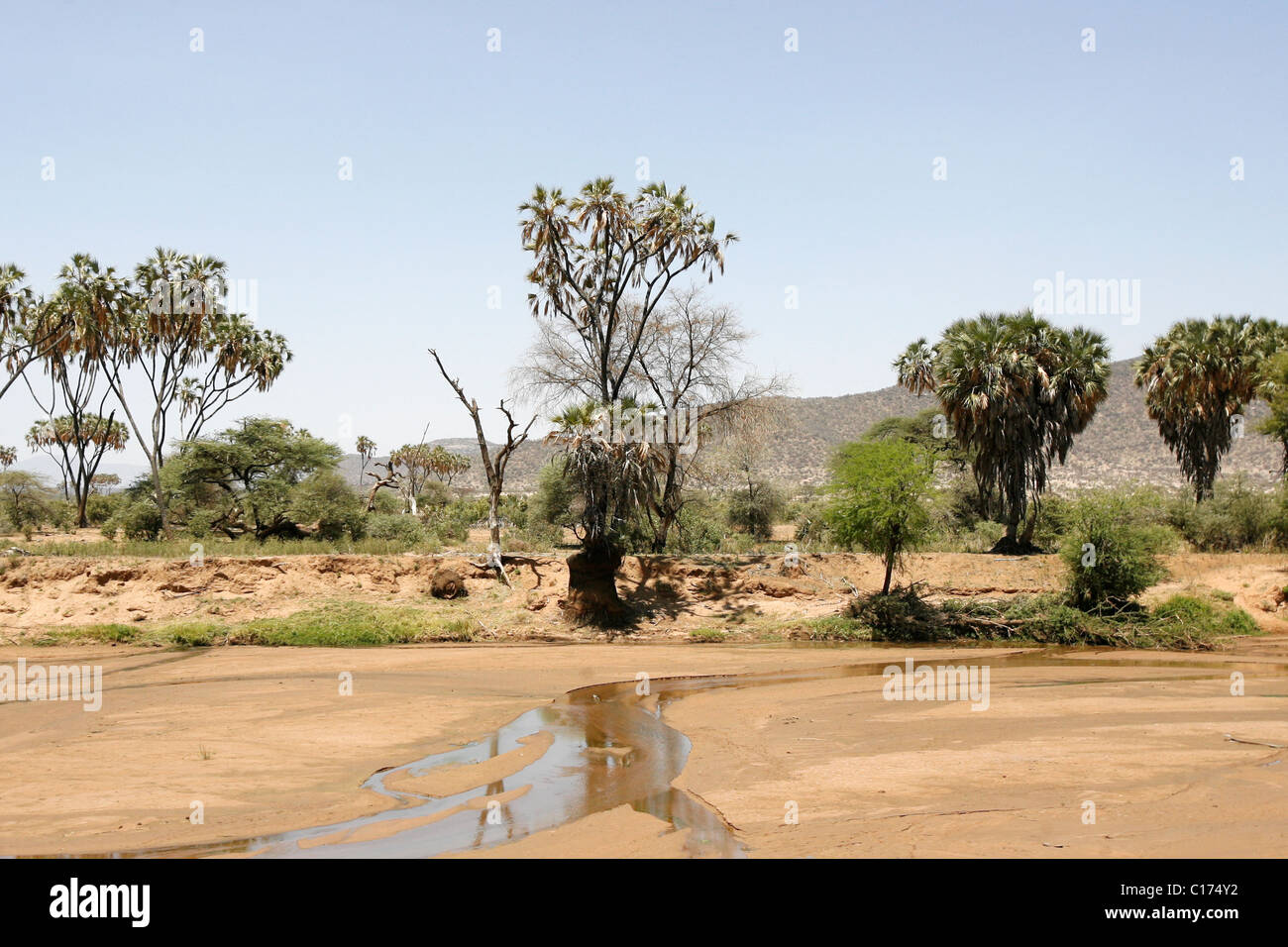 Ewaso ng'iro hi-res stock photography and images - Alamy