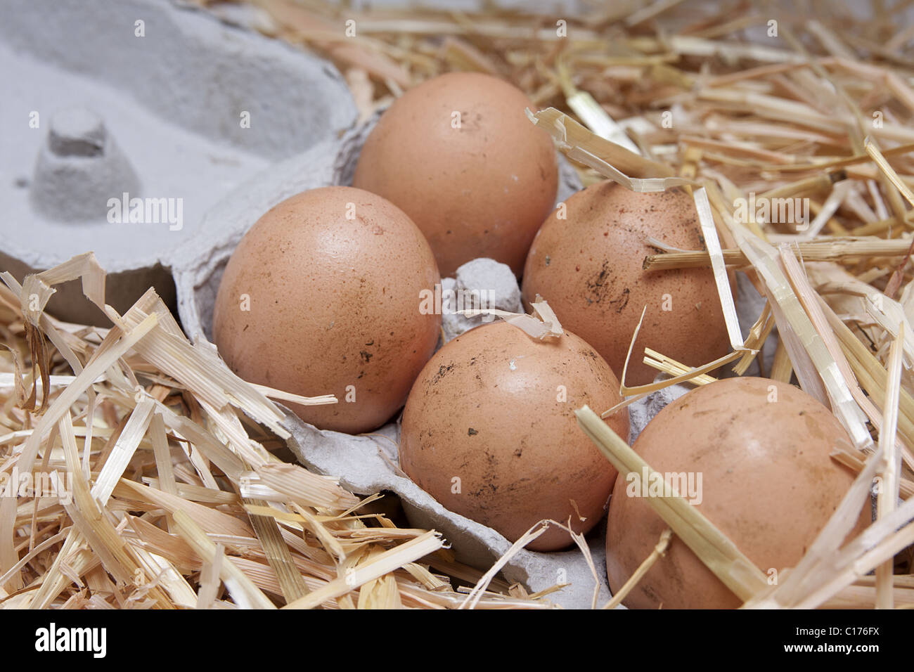 Eggs freerange hi-res stock photography and images - Alamy