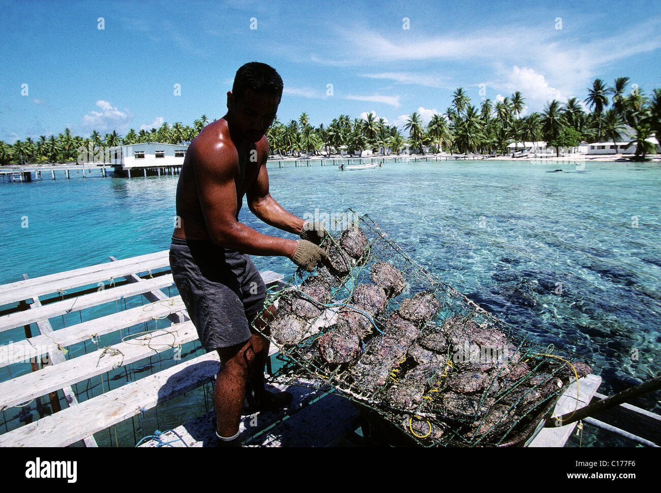 Manihi atoll, french polynesia hi-res stock photography and images - Alamy
