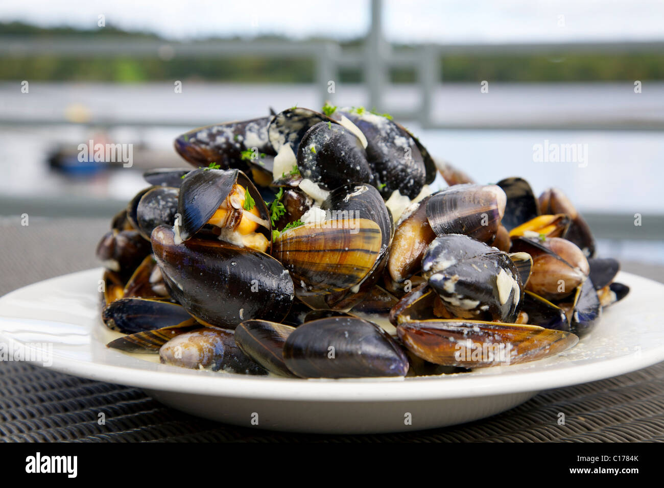 A dish of Scottish "West Coast" mussels Stock Photo - Alamy
