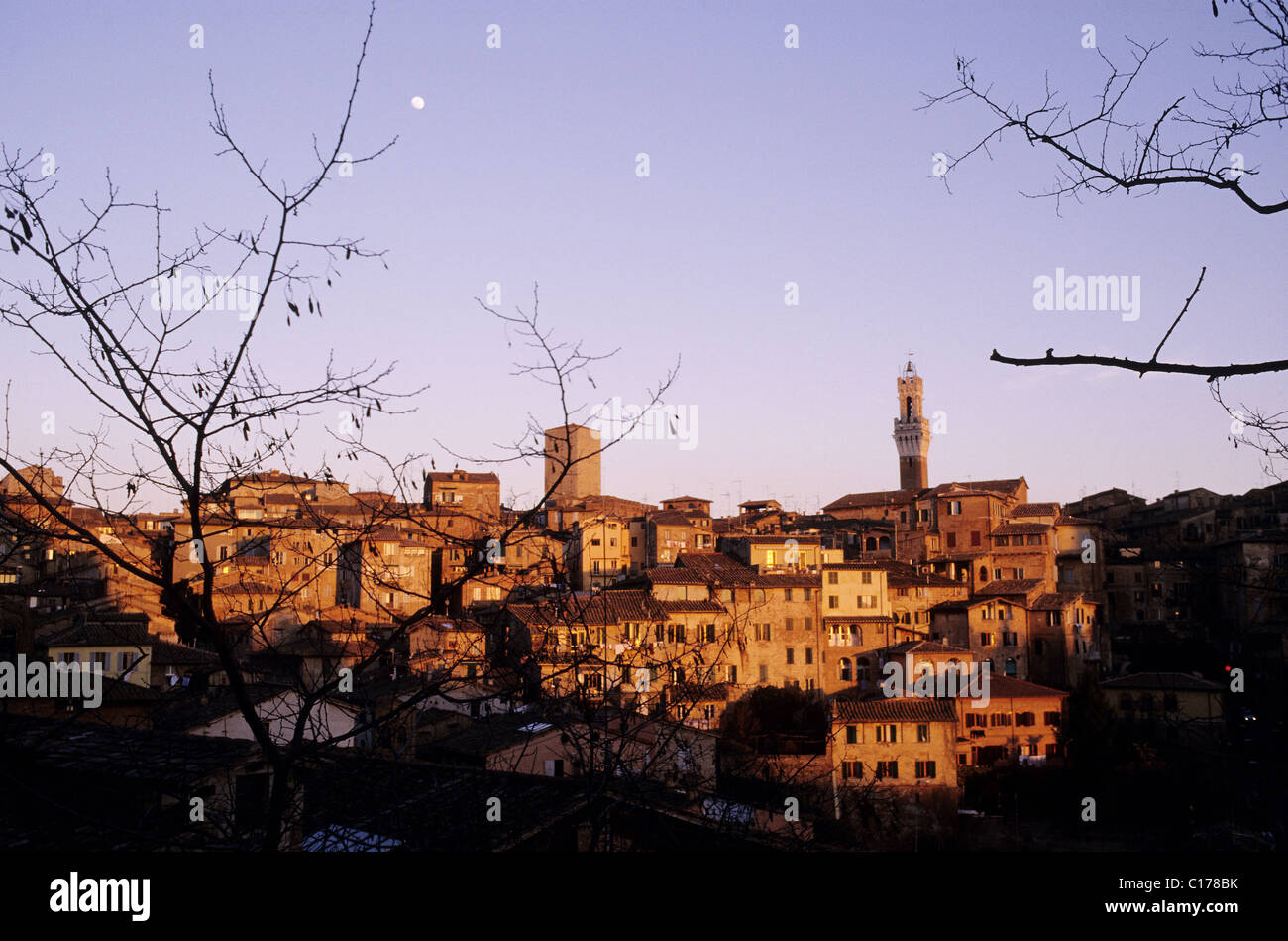 Italy, Tuscany, Siena, Old Town Stock Photo - Alamy