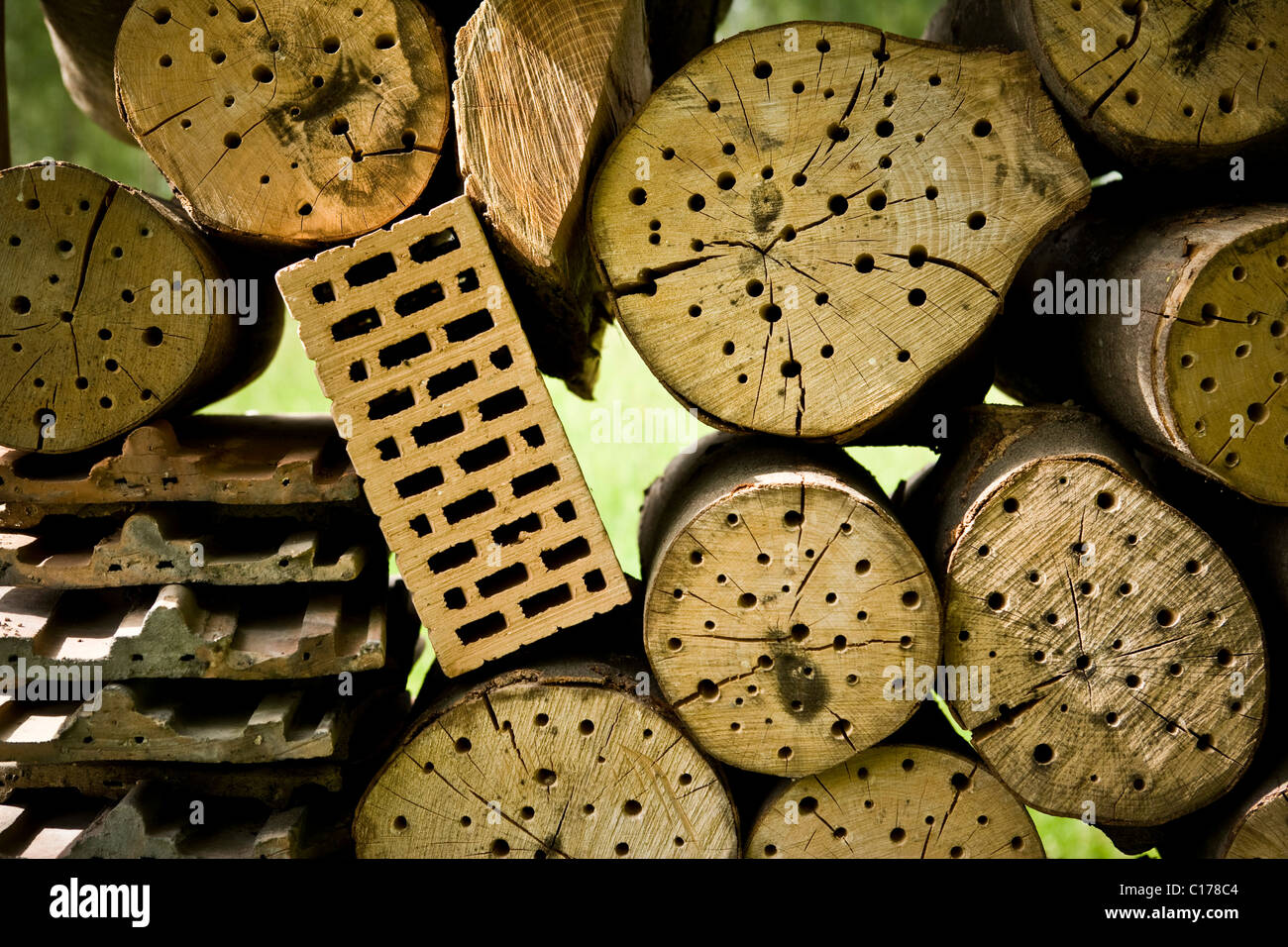 Pile of insects hi-res stock photography and images - Alamy
