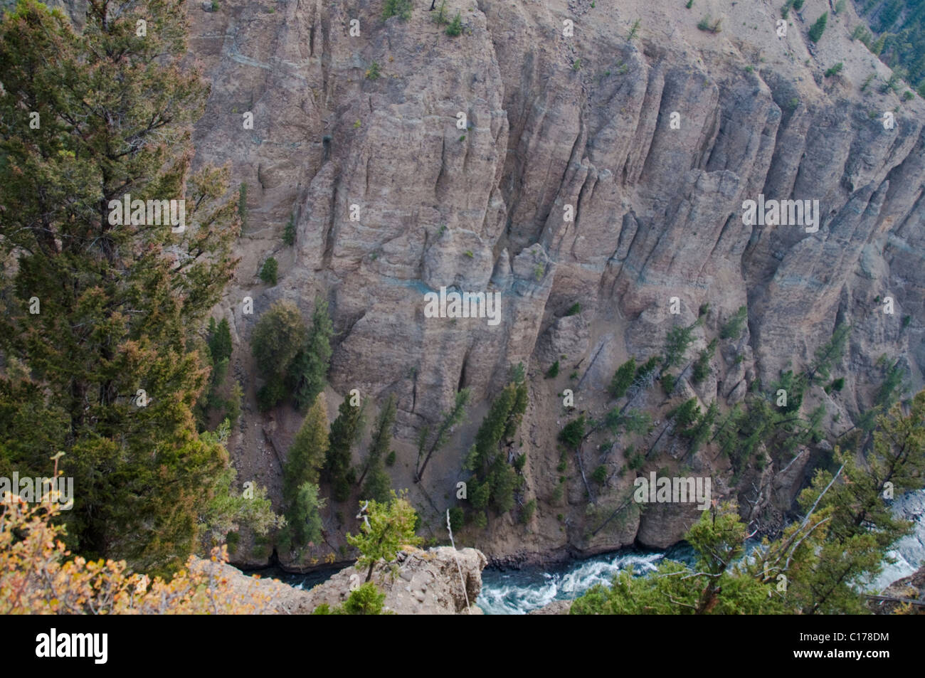 Yellowstone River Canyon,Lower Falls,Artist & Observation Platform,Drop ...