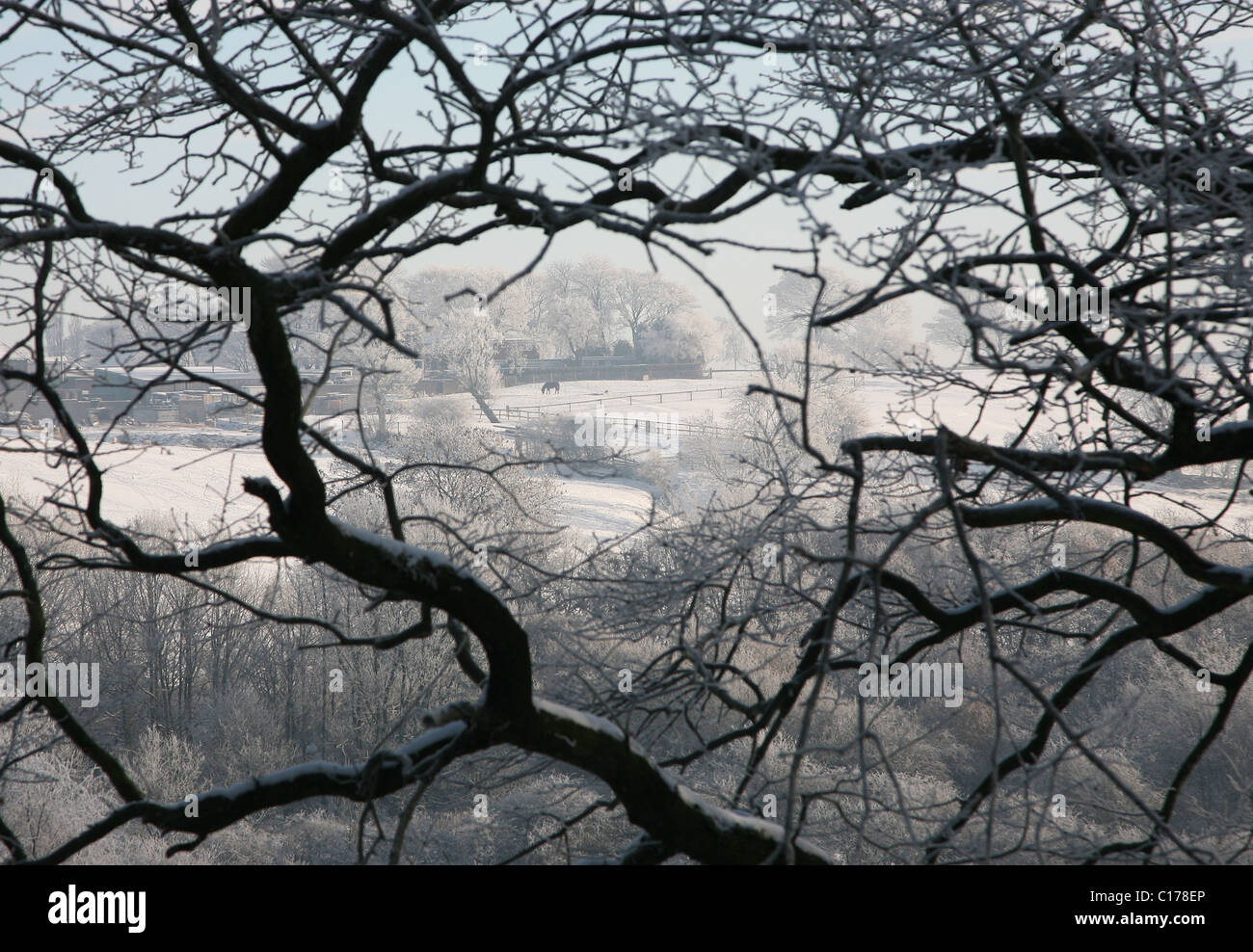 Looking at the frost covered fields of a farm through tree branches ...