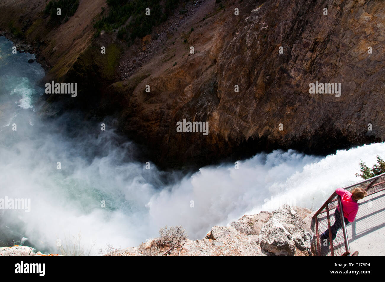 Yellowstone River Canyon,Lower Falls,Artist & Observation Platform,Drop ...