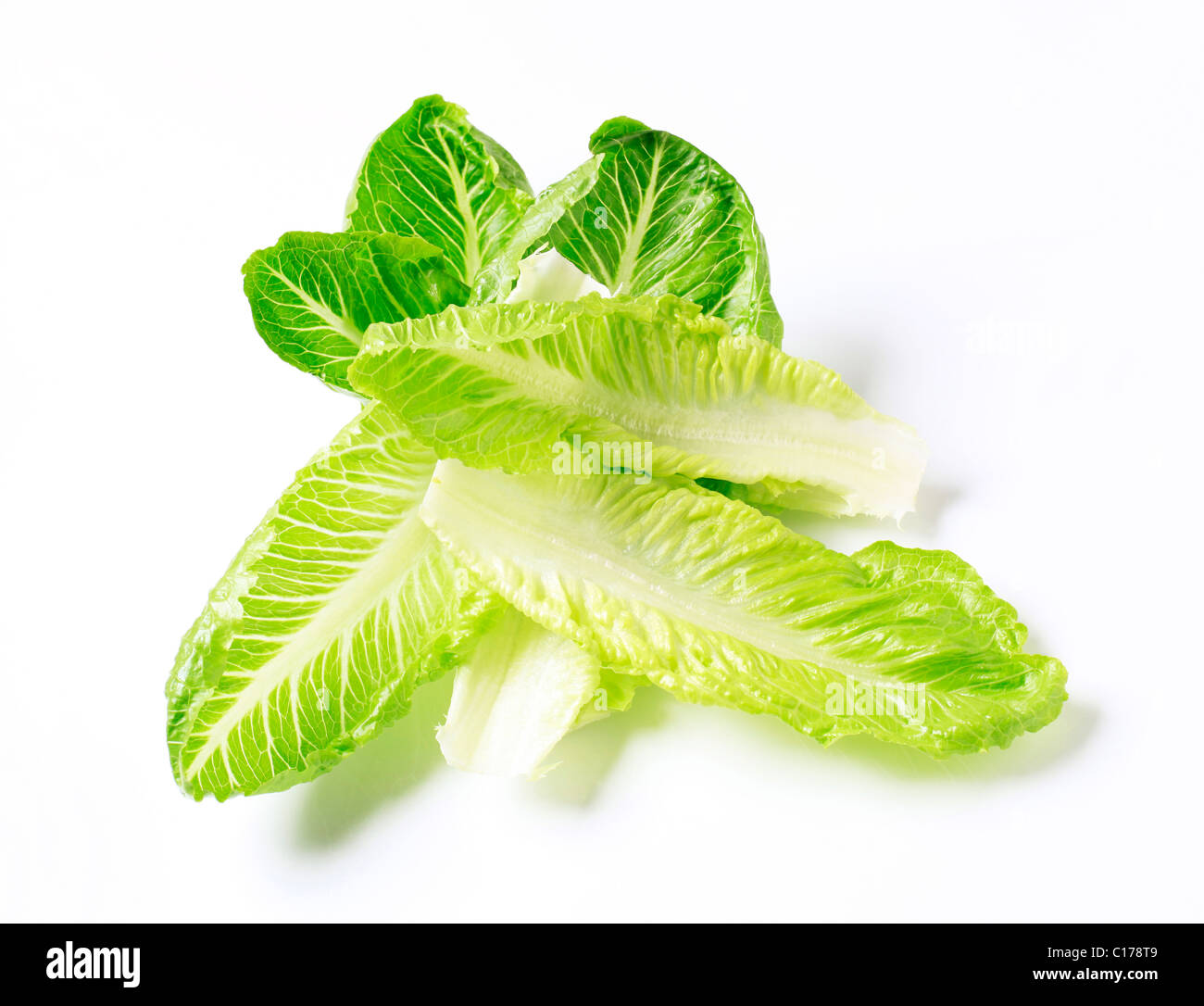 Fresh lettuce leaves Stock Photo - Alamy