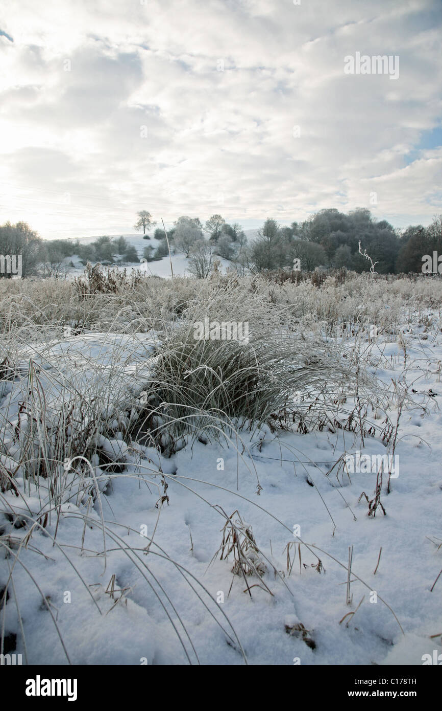Frost covered fields hi-res stock photography and images - Alamy