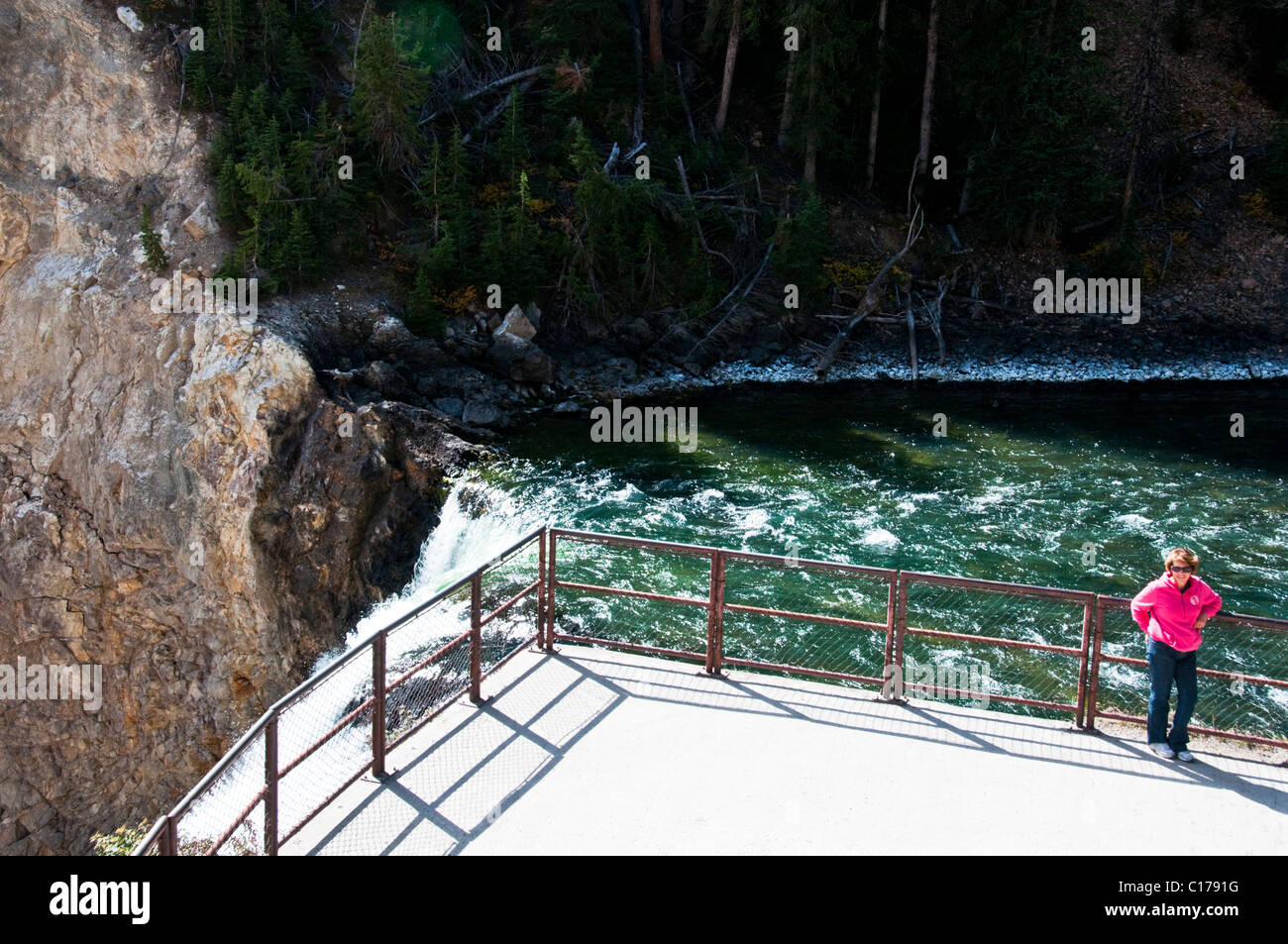 Yellowstone River Canyon,Lower Falls,Artist & Observation Platform,Drop ...