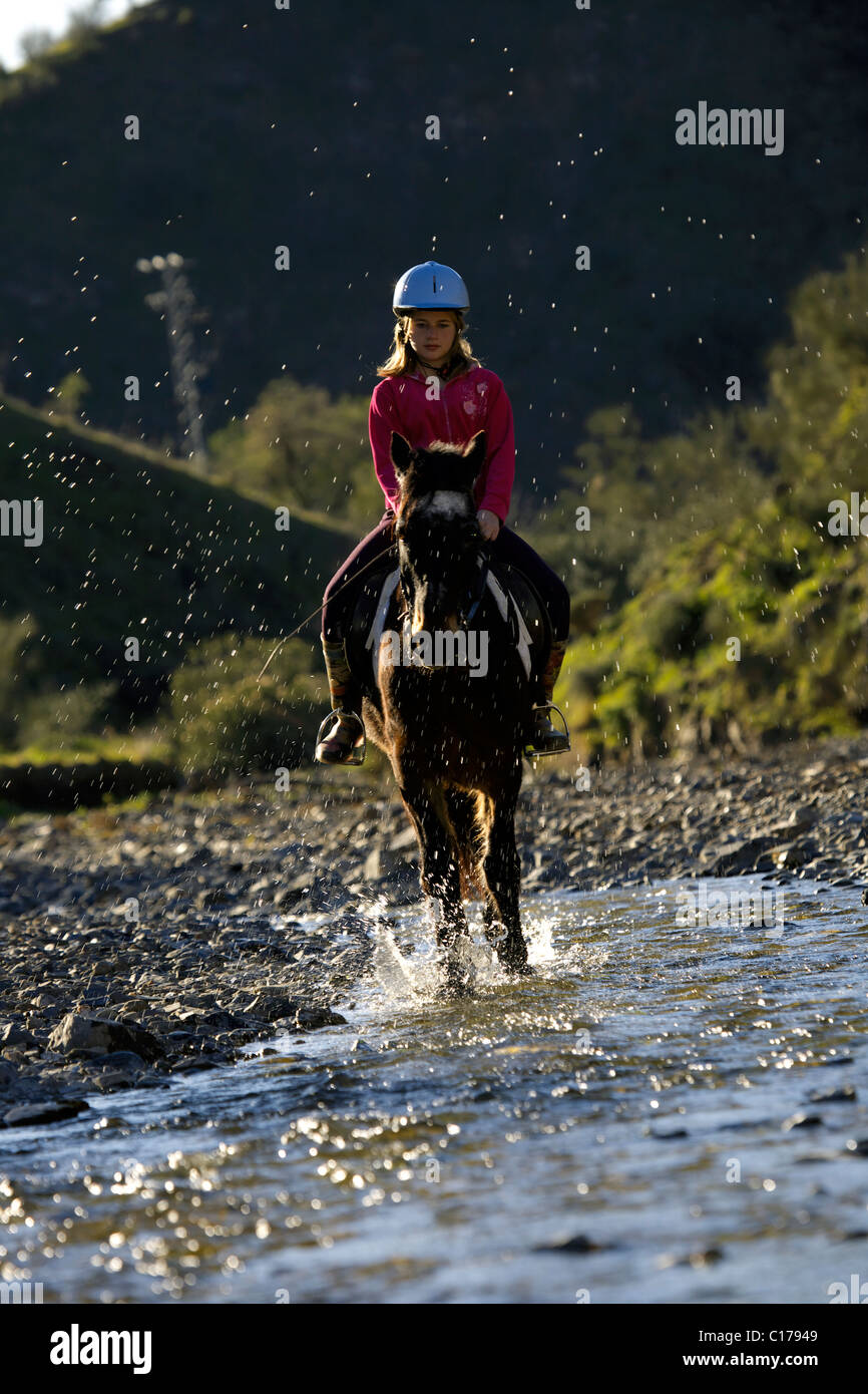 Young teenage English girl riding her pony in a stream, river, teenager ...