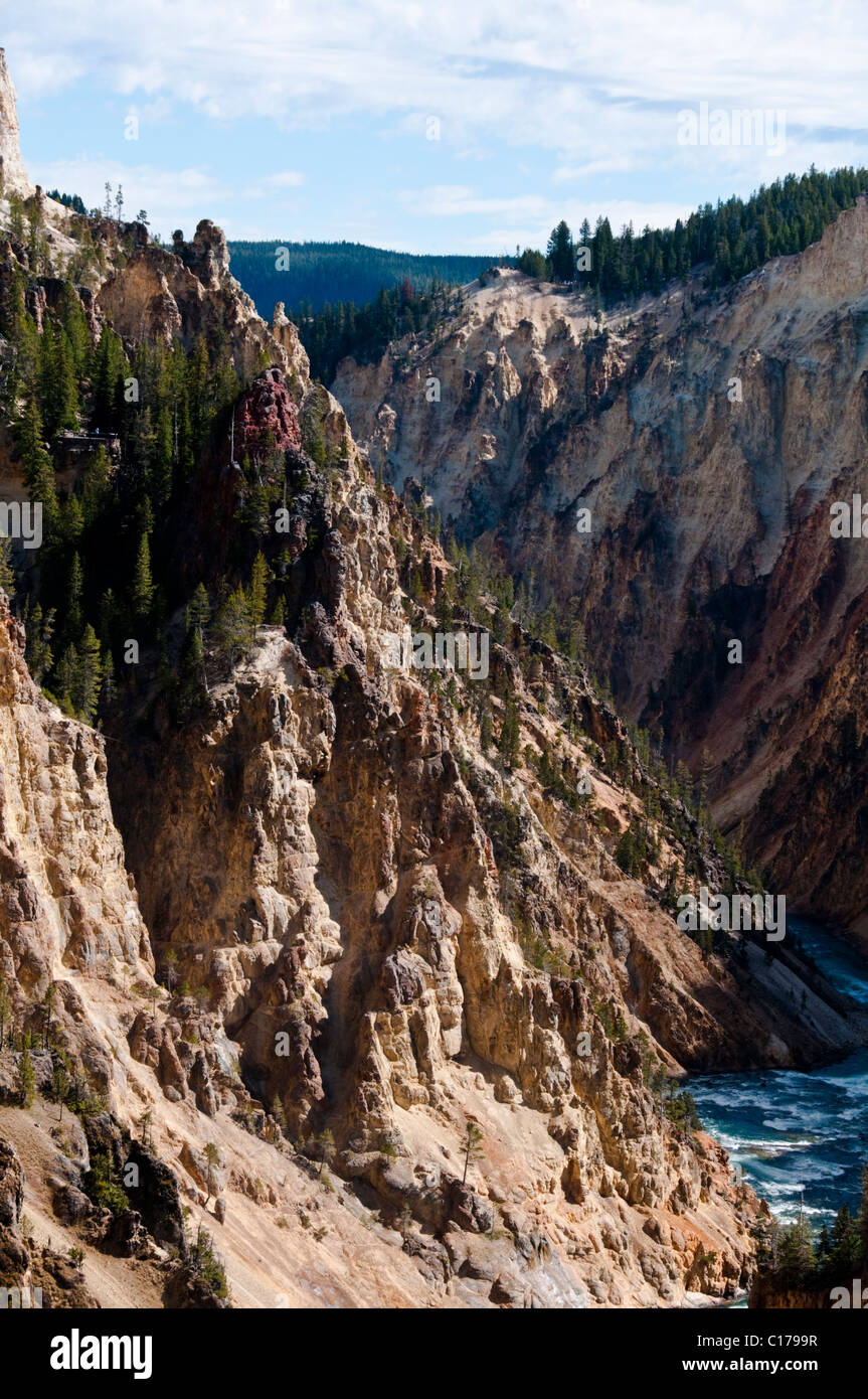 Yellowstone River Canyon,Lower Falls,Artist & Observation Platform,Drop ...