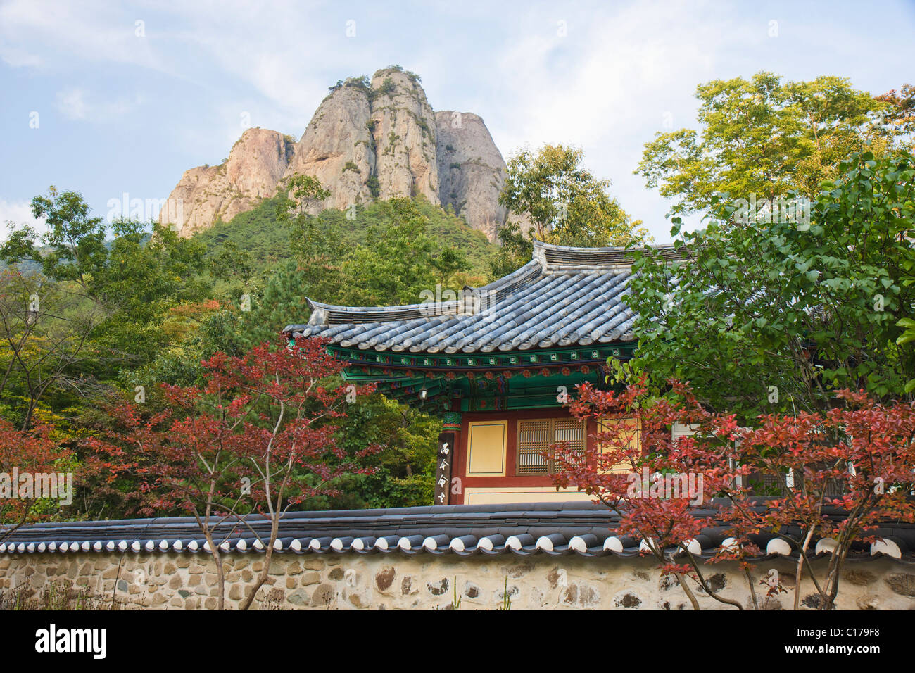 Daejeon korea hi-res stock photography and images - Alamy