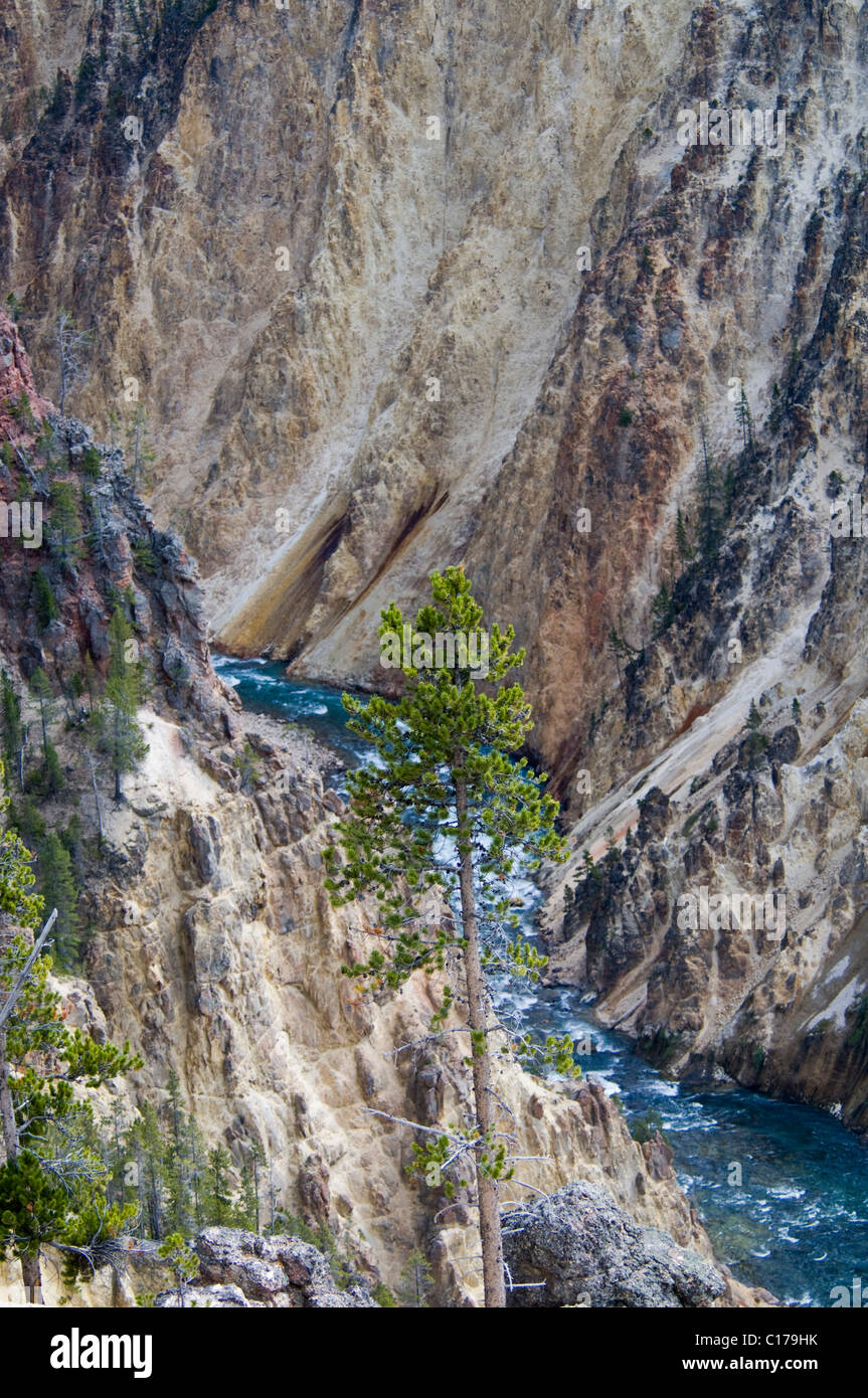 Yellowstone River Canyon,Lower Falls,Artist & Observation Platform,Drop ...