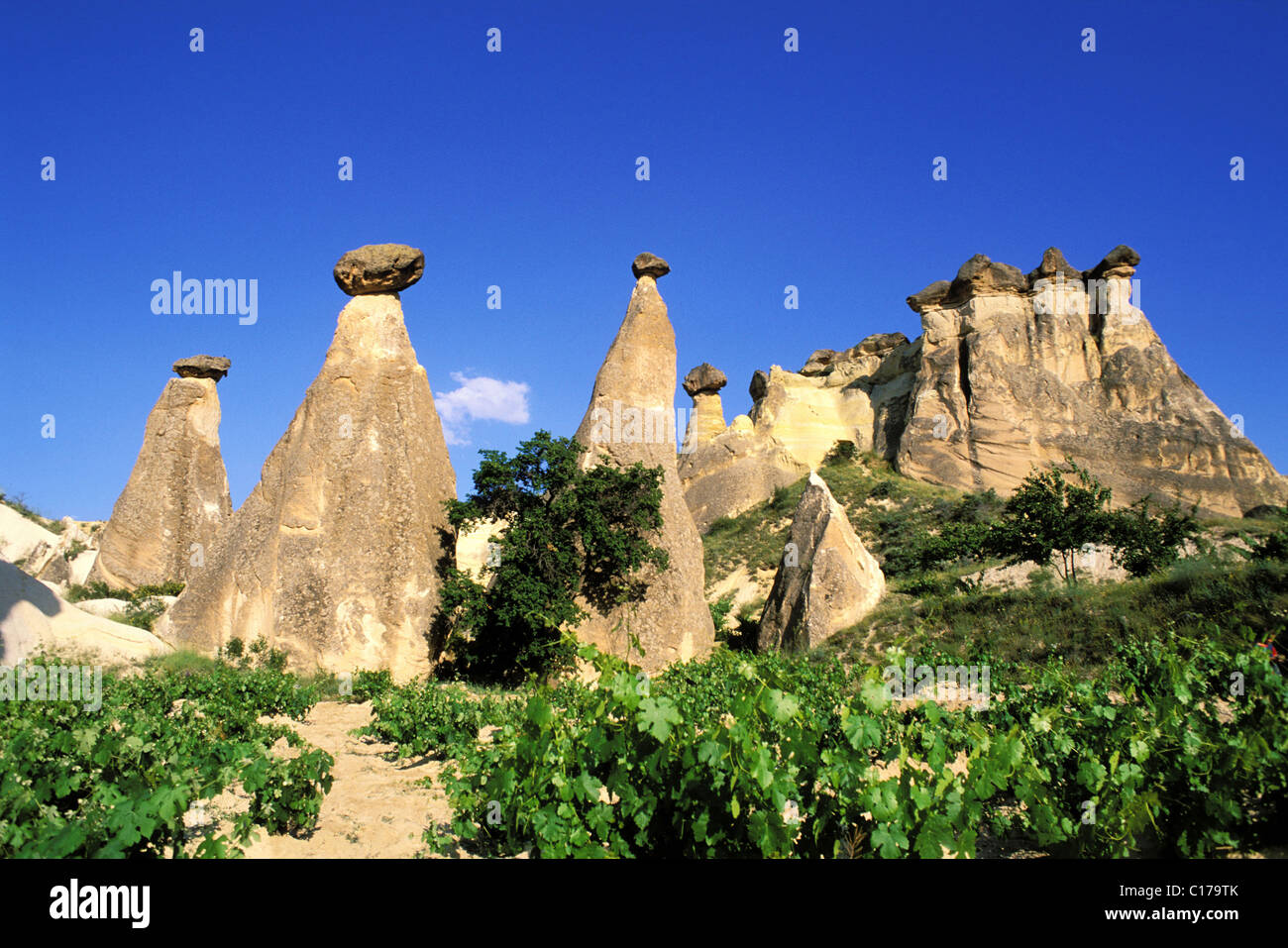 Turkey, Cappadocia, fairy chimneys Stock Photo - Alamy