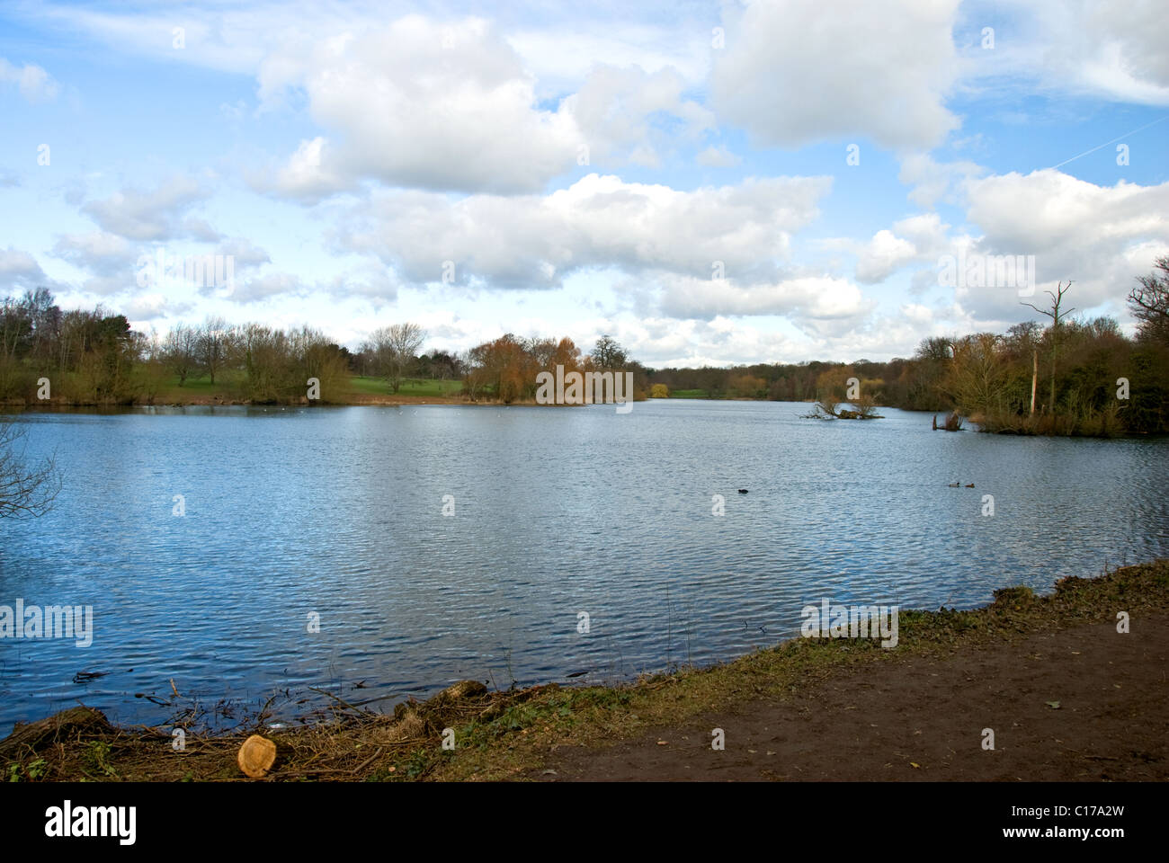 Lake under a blue sky Stock Photo - Alamy
