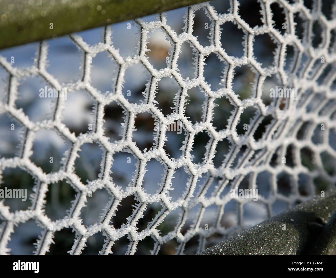 hexagonal fencing covered in hoar frost England, Winter 2010 Stock ...