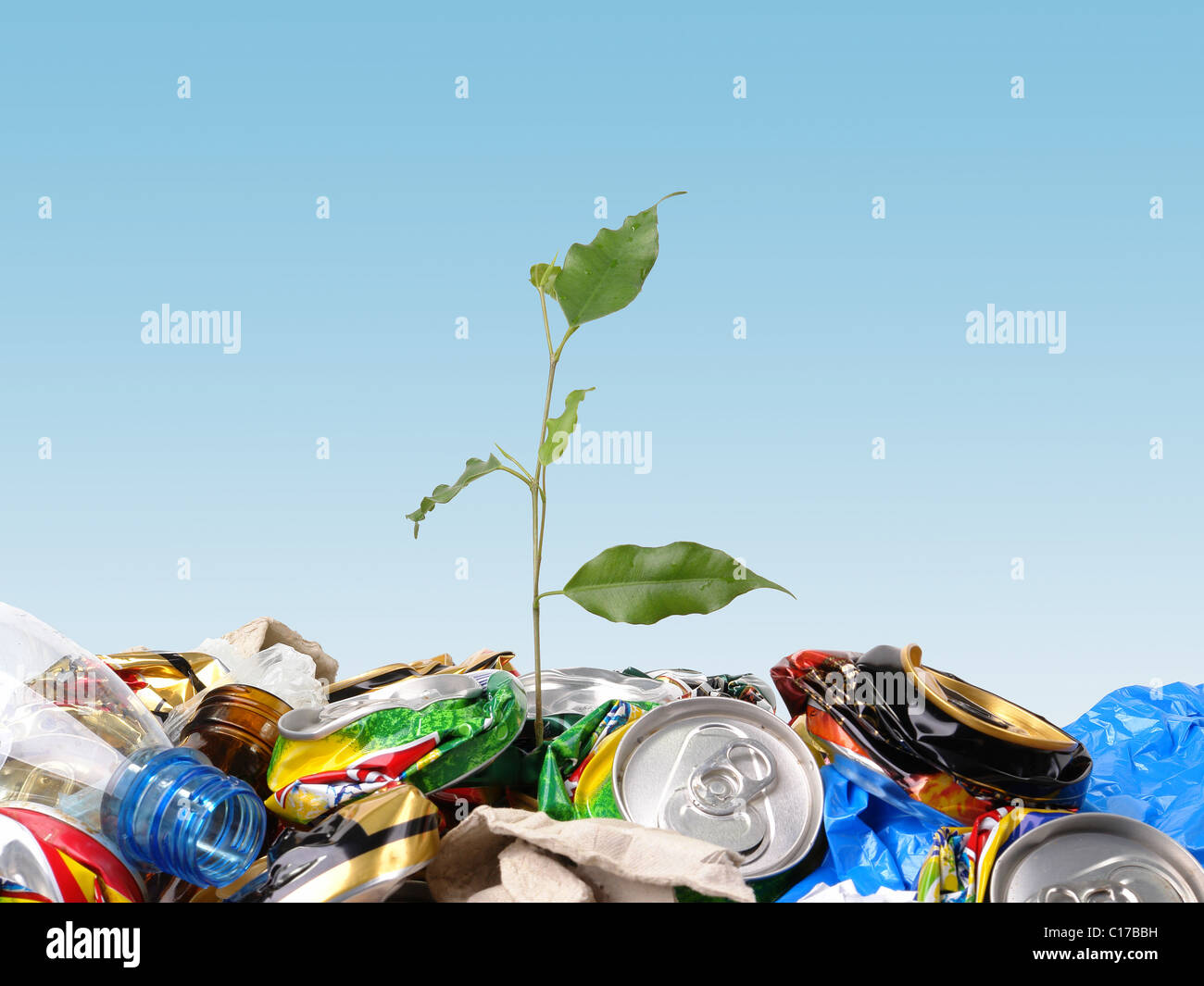 Plantlet growing on a garbage dump over clear blue sky Stock Photo - Alamy