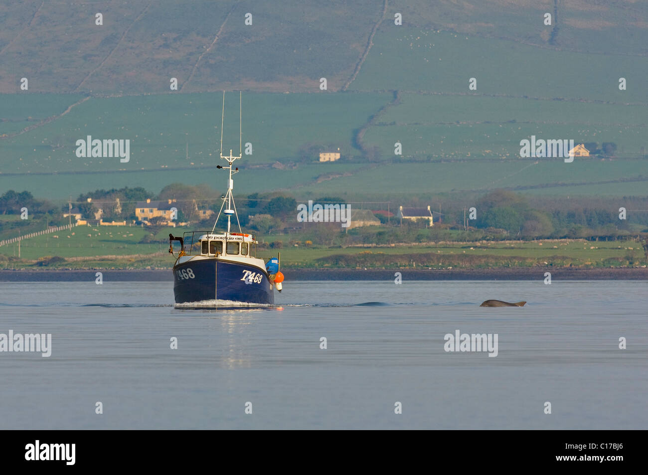 Dingle ireland hi-res stock photography and images - Alamy