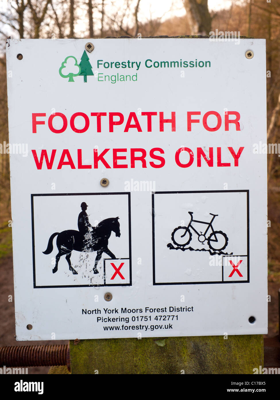 Forestry Commission England sign notice Footpath for walkers only with ...